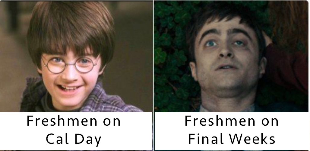 Before and After: Cal freshmen edition | Scrolller