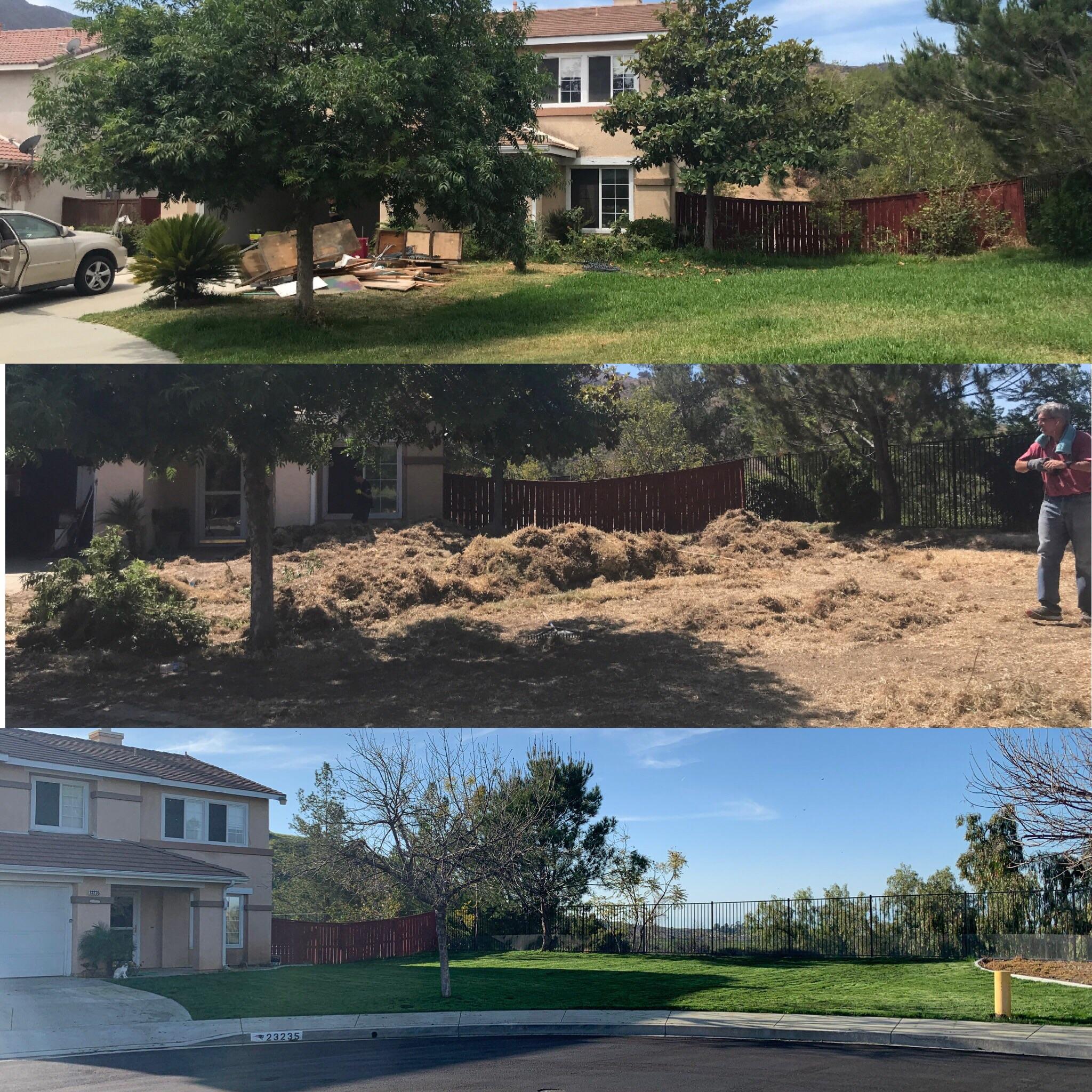Before-middle-after lawn replacement | Scrolller