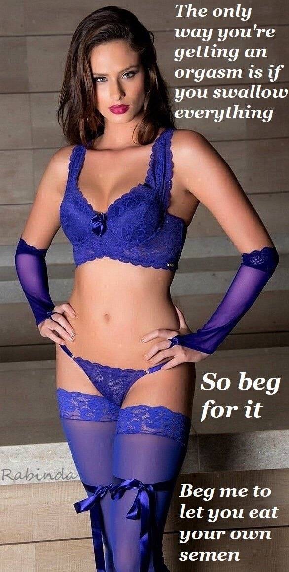 Beg for it | Scrolller