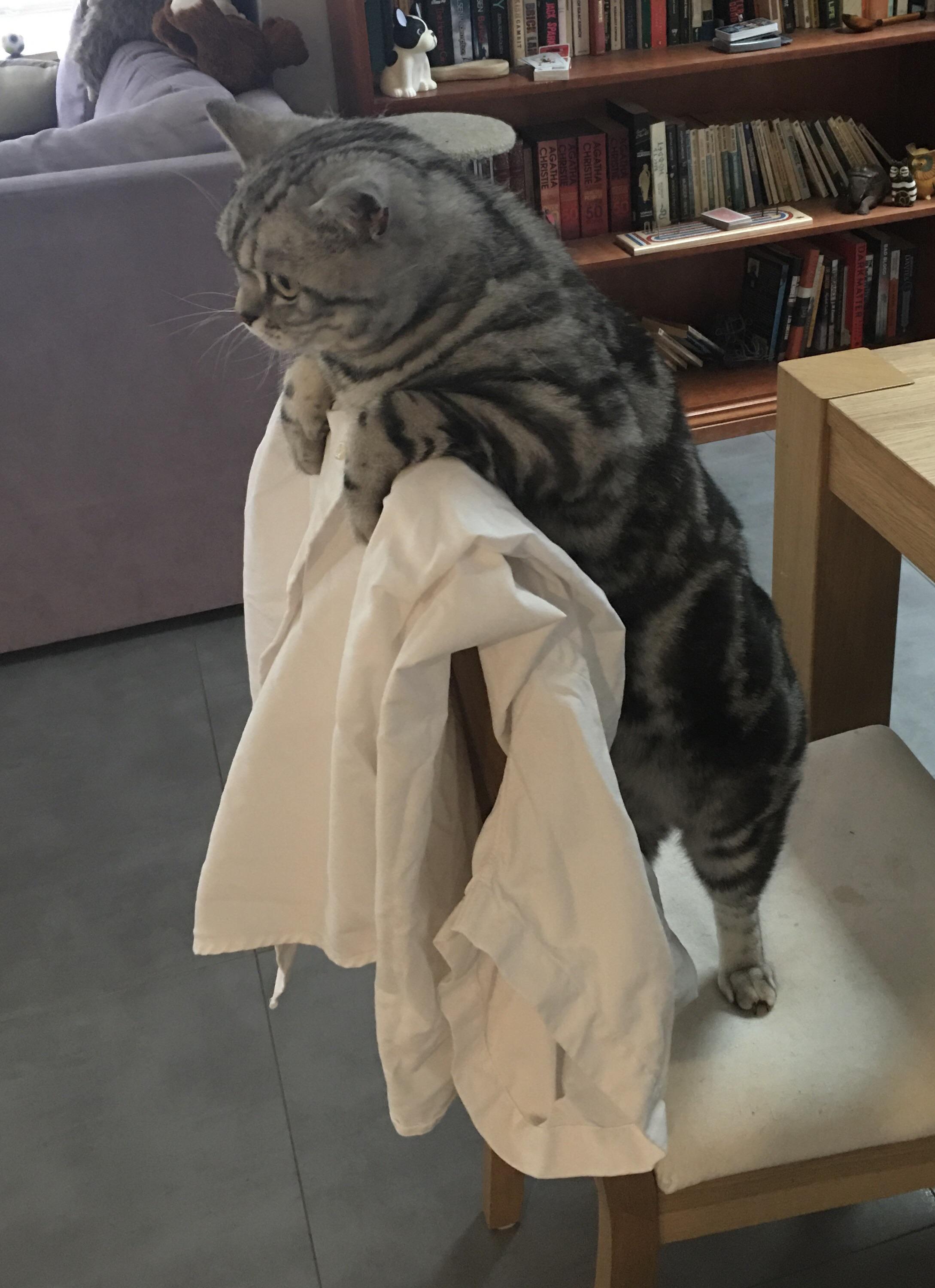 Behind the Dangle | Scrolller