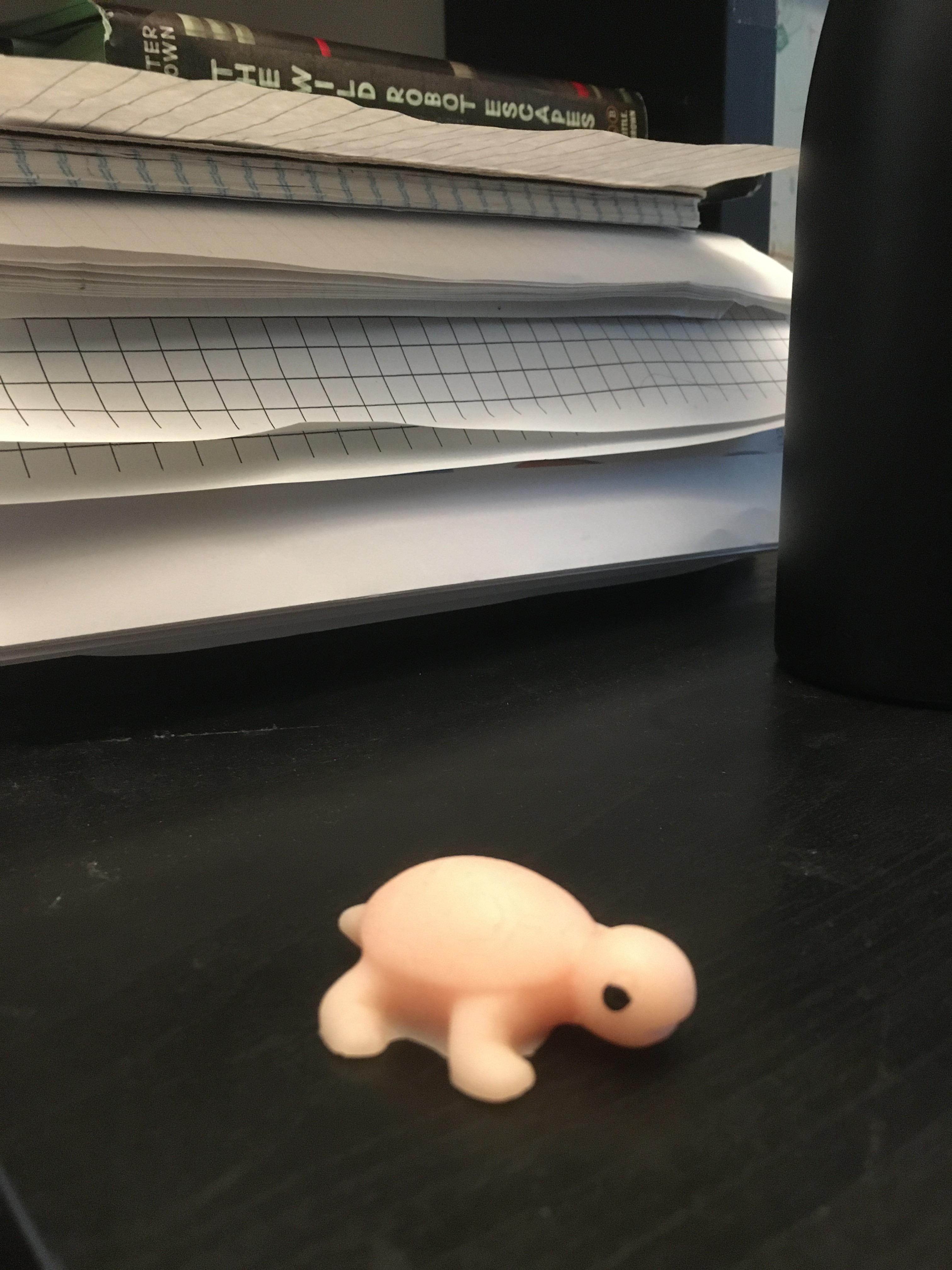 Behold! The fleshle! | Scrolller