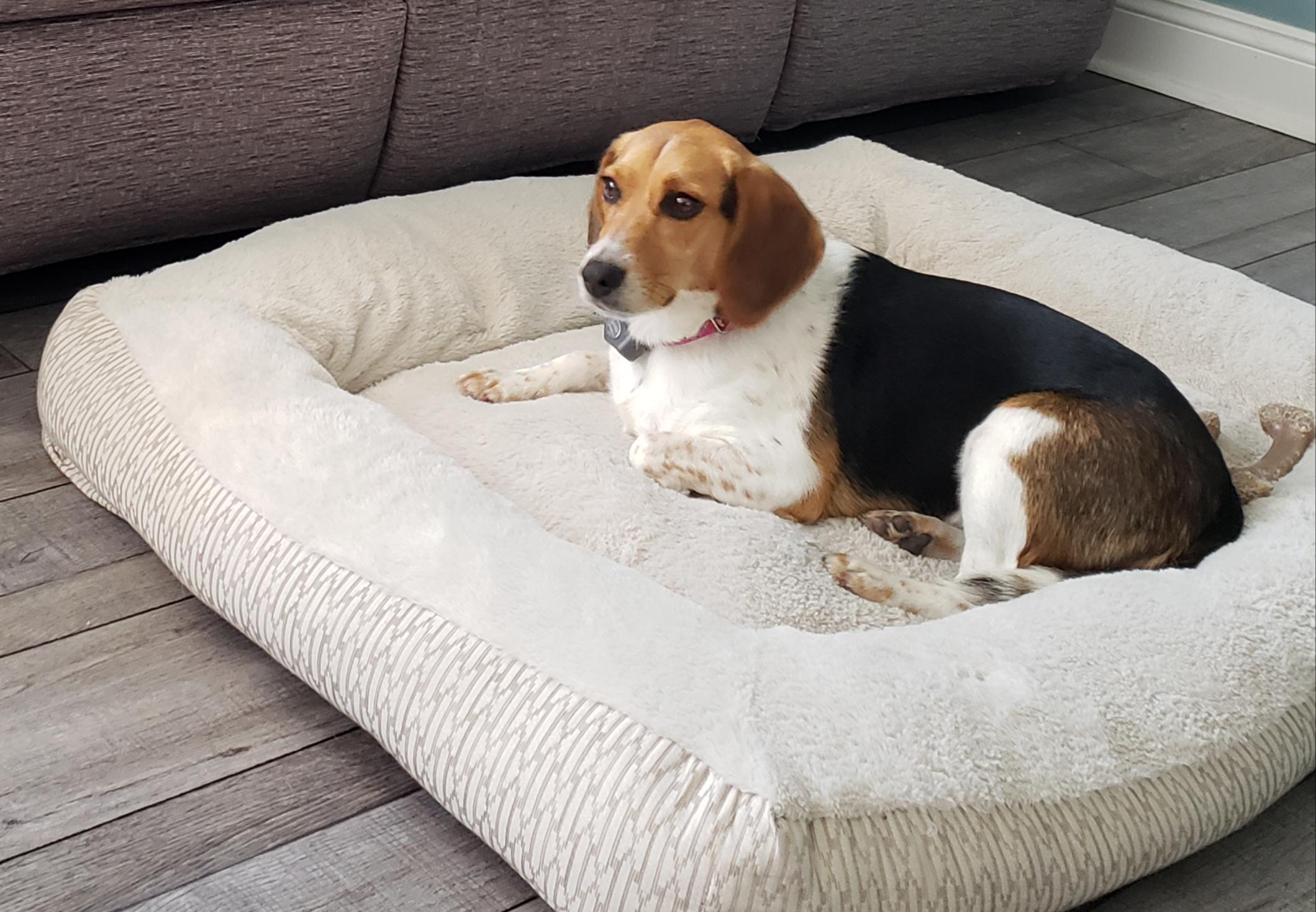 Bella chilling | Scrolller