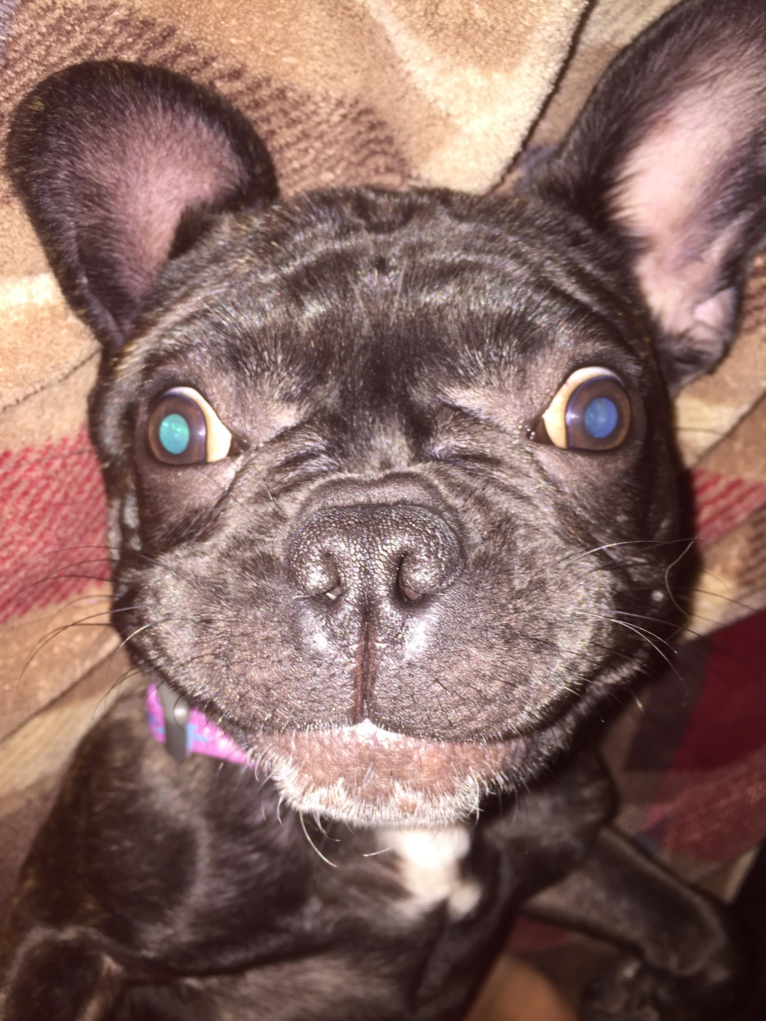 Belly Rubs Scrolller