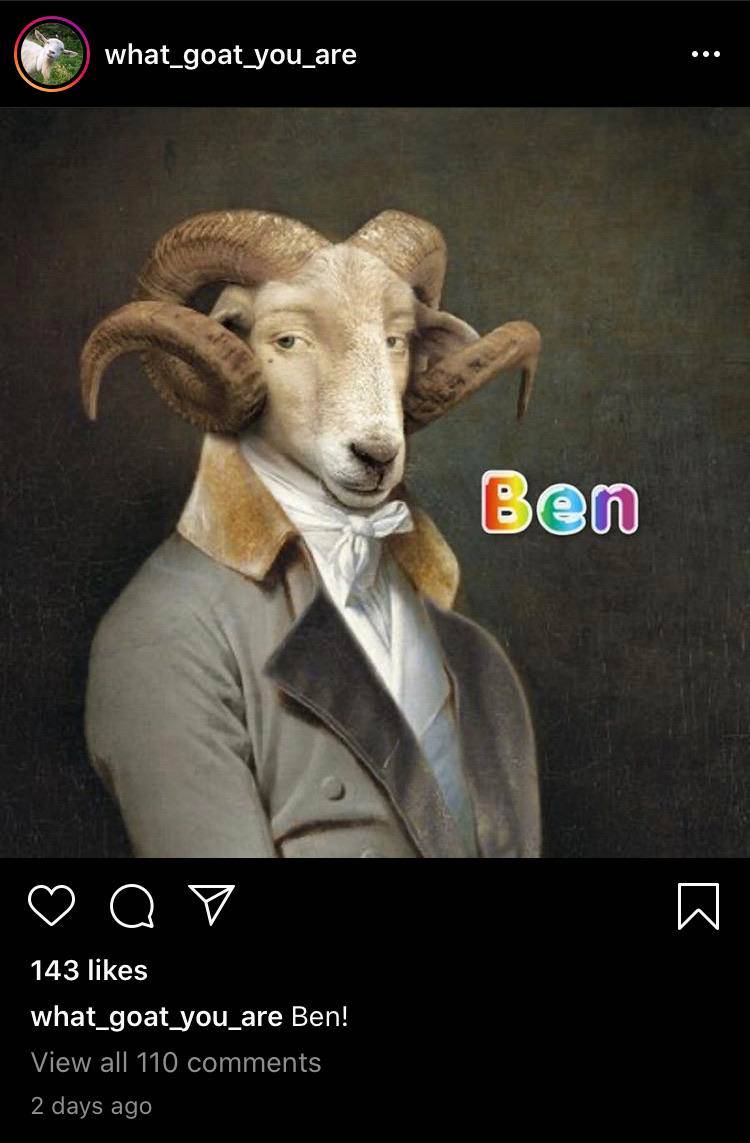 Ben the goat | Scrolller
