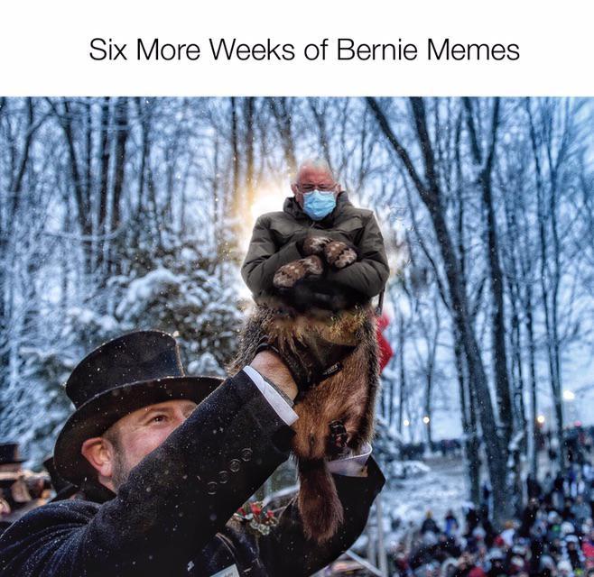 Bernie’s Shadow... (OC) | Scrolller