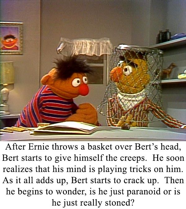 Bert is such a basket case | Scrolller