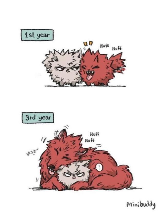 Best boi and explosive boi | Scrolller