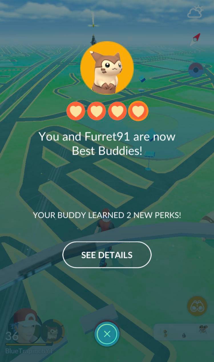 Best buddy hell yea | Scrolller