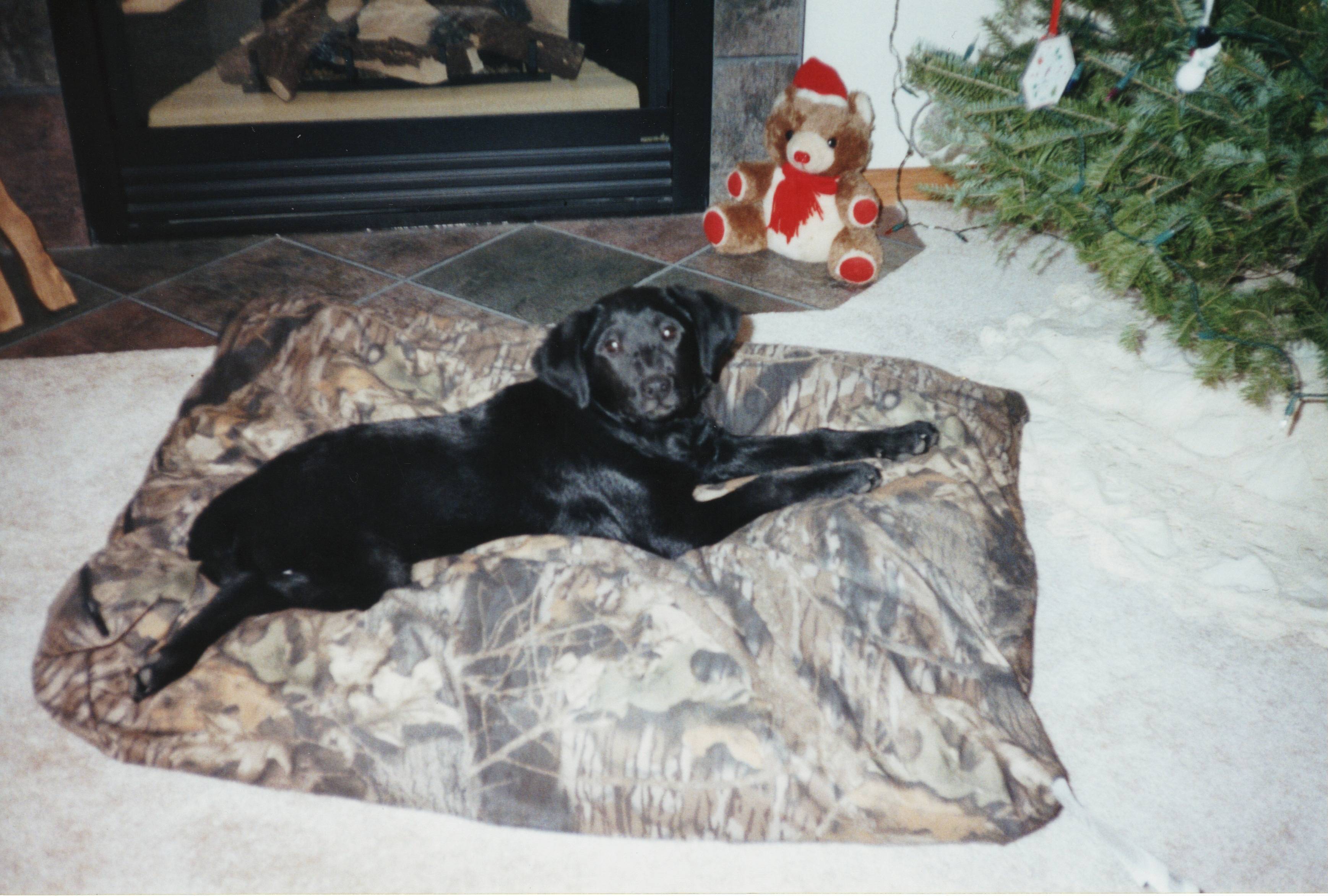 Best Christmas present I ever did get. She's been my best friend since ...