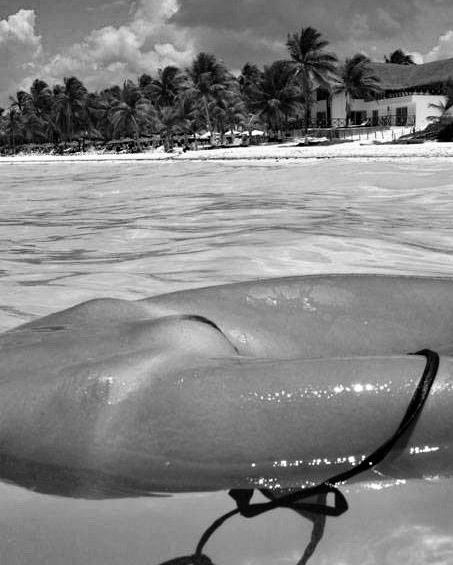 Better close up Mound... | Scrolller