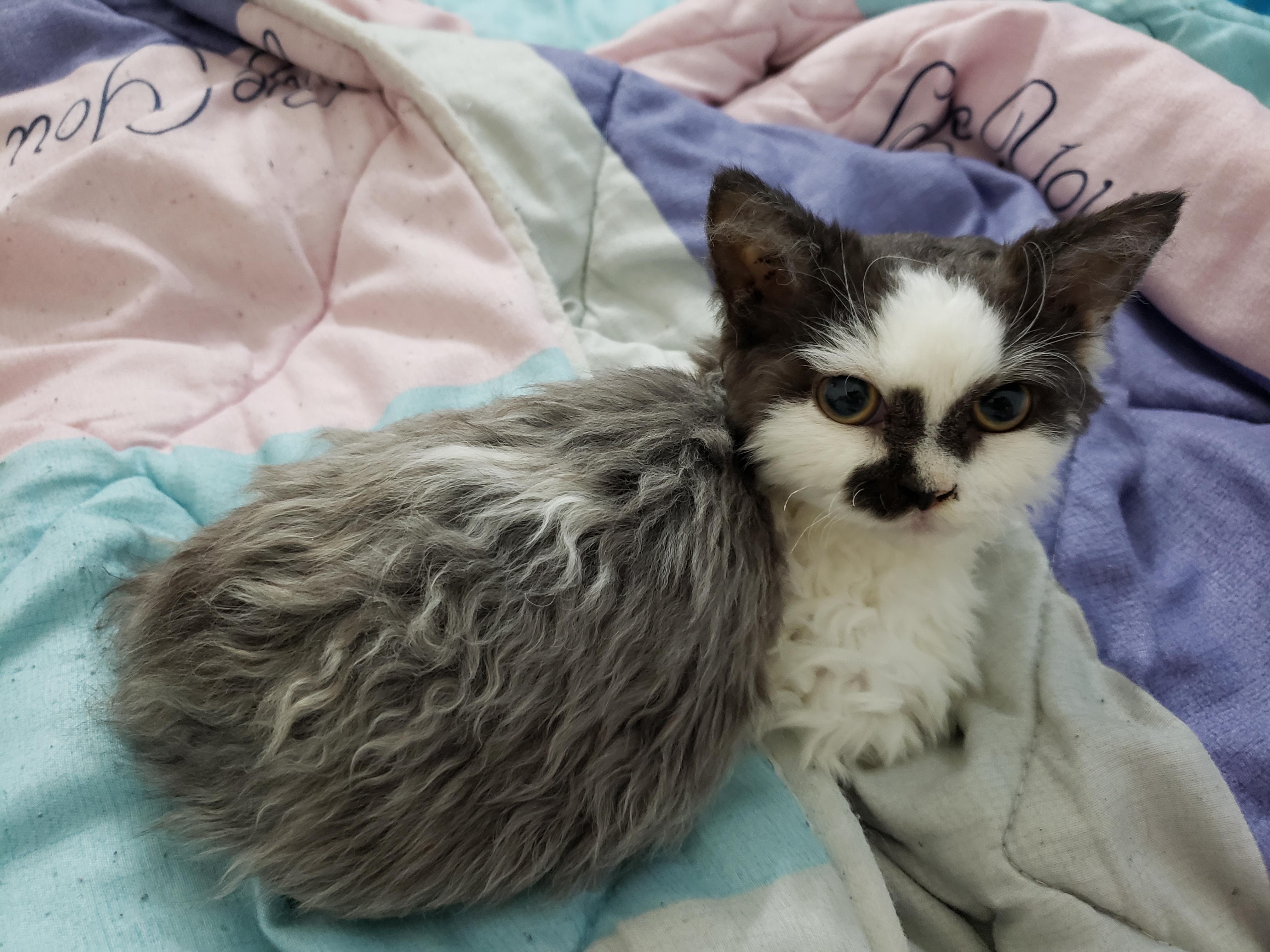 Better Pic of My Fluffy Loaf!!! | Scrolller