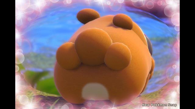 Bidoof-a-donk | Scrolller