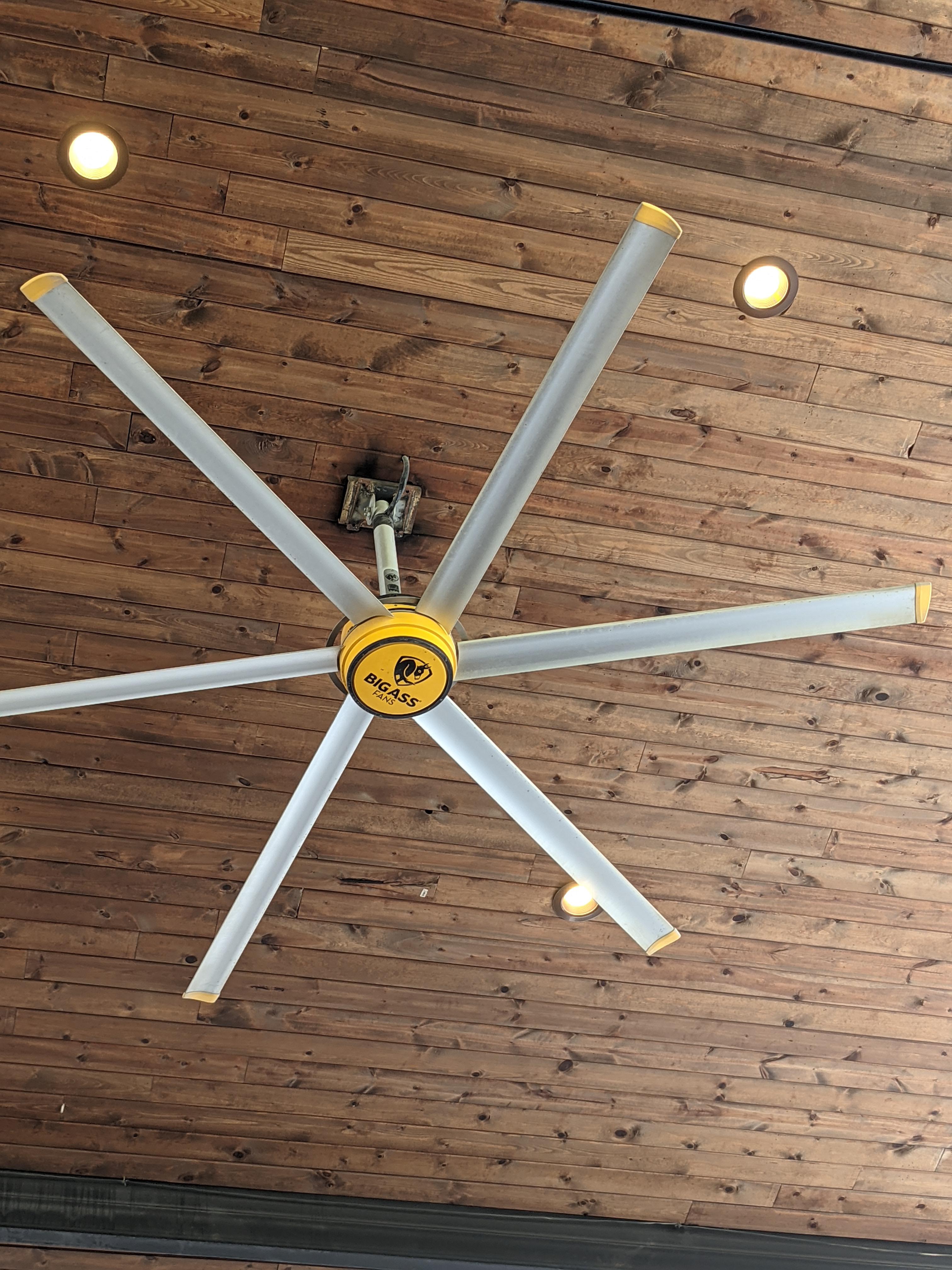 Big ass beauty blows multiple people at once | Scrolller