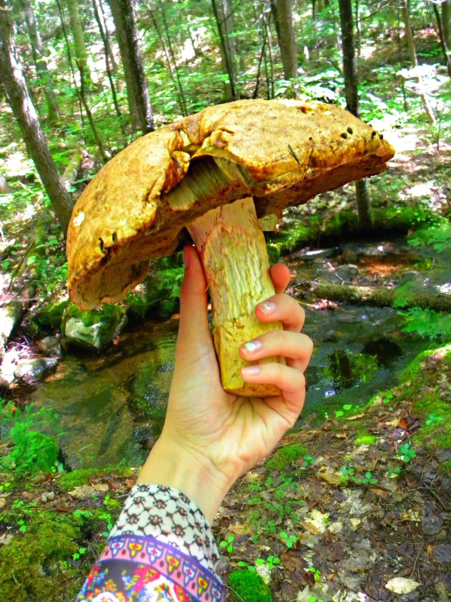 Big boi!! | Scrolller