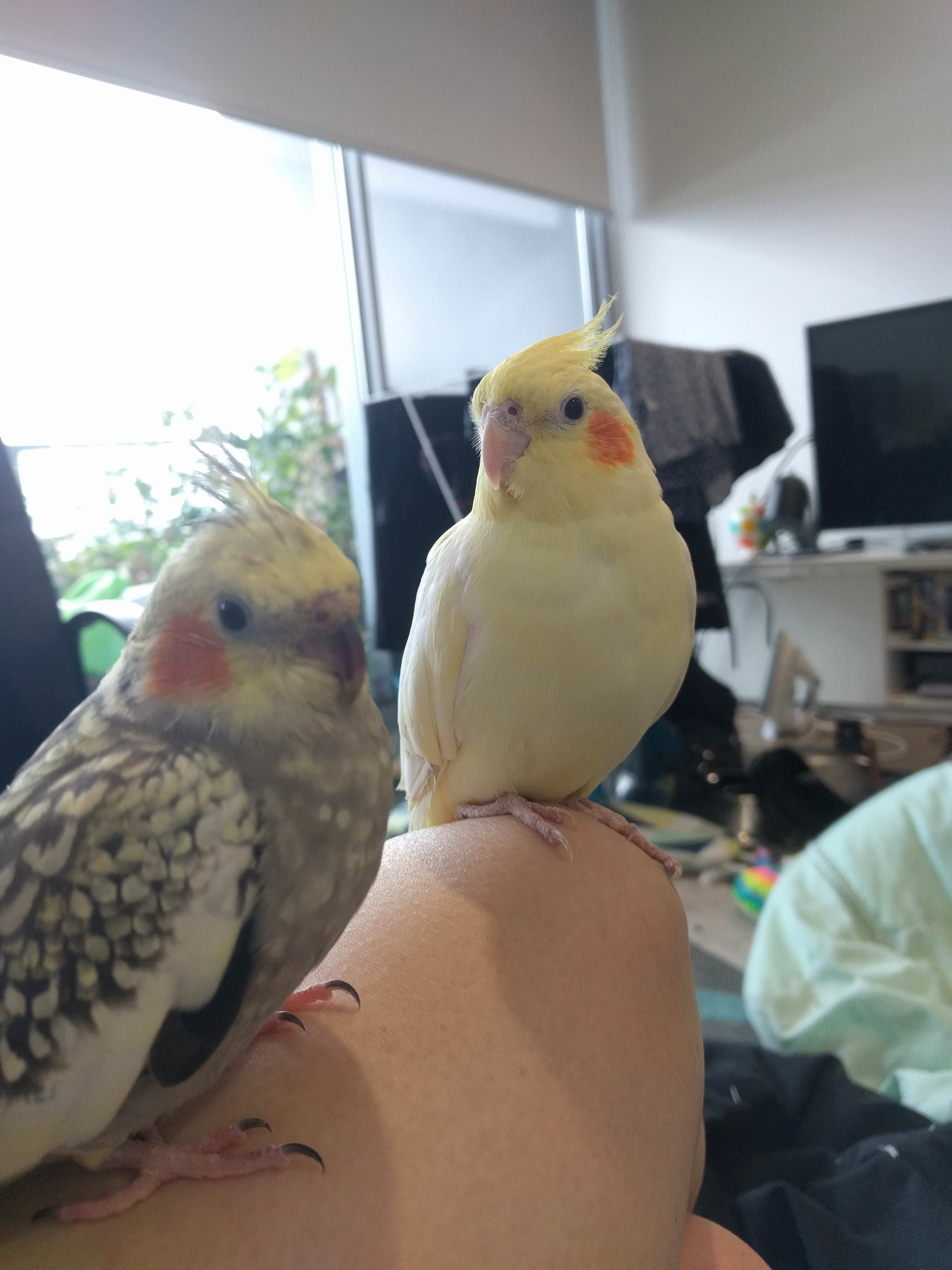 Big Boys hanging down my leg | Scrolller