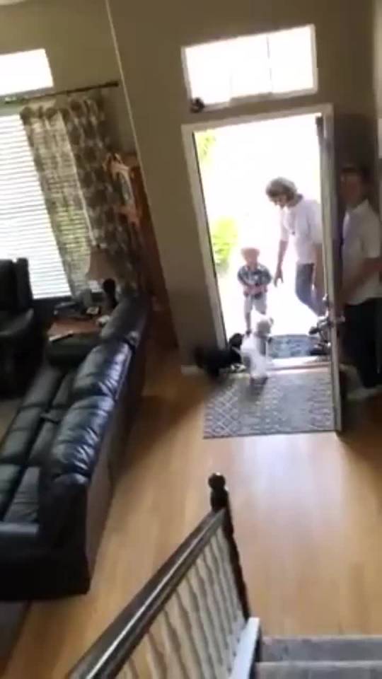 Big brother always wins | Scrolller