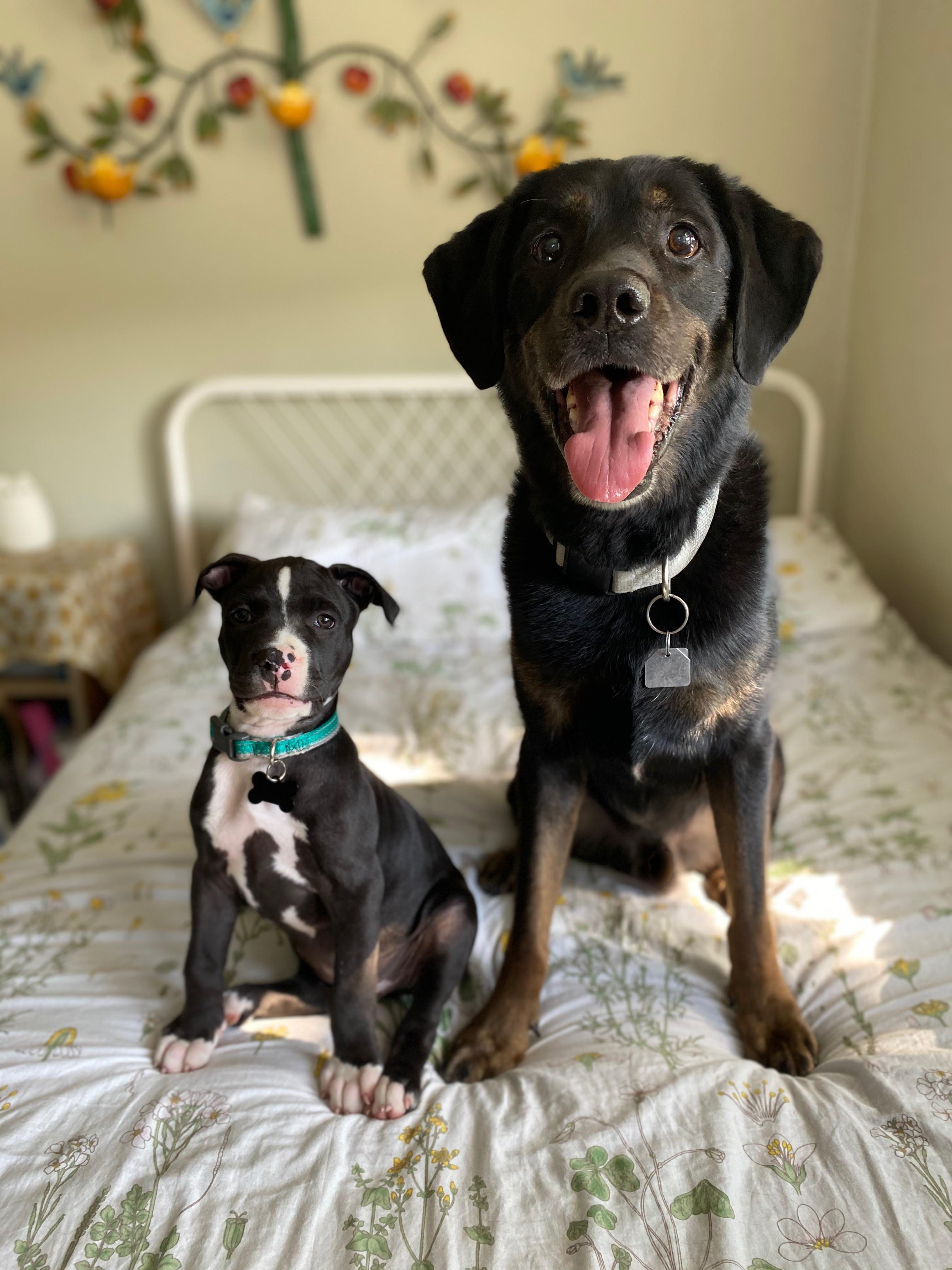 Big buddy, little buddy. | Scrolller