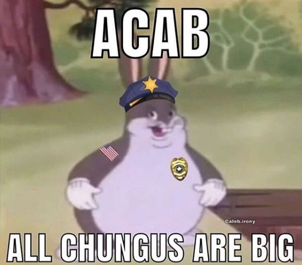 BIG CHUNGUS THATS NOT VERY WHOLESOME 100 OF YOU | Scrolller