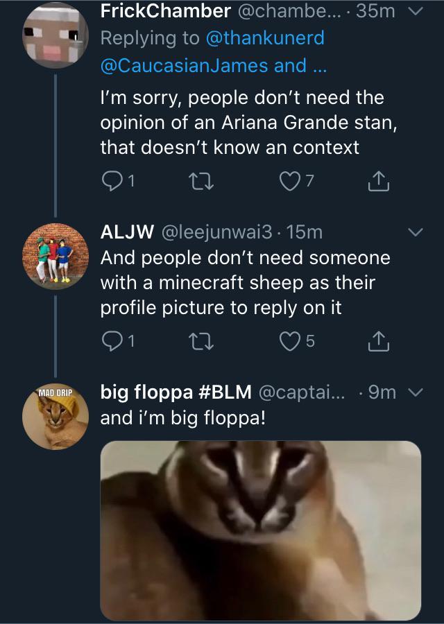 big floppa | Scrolller