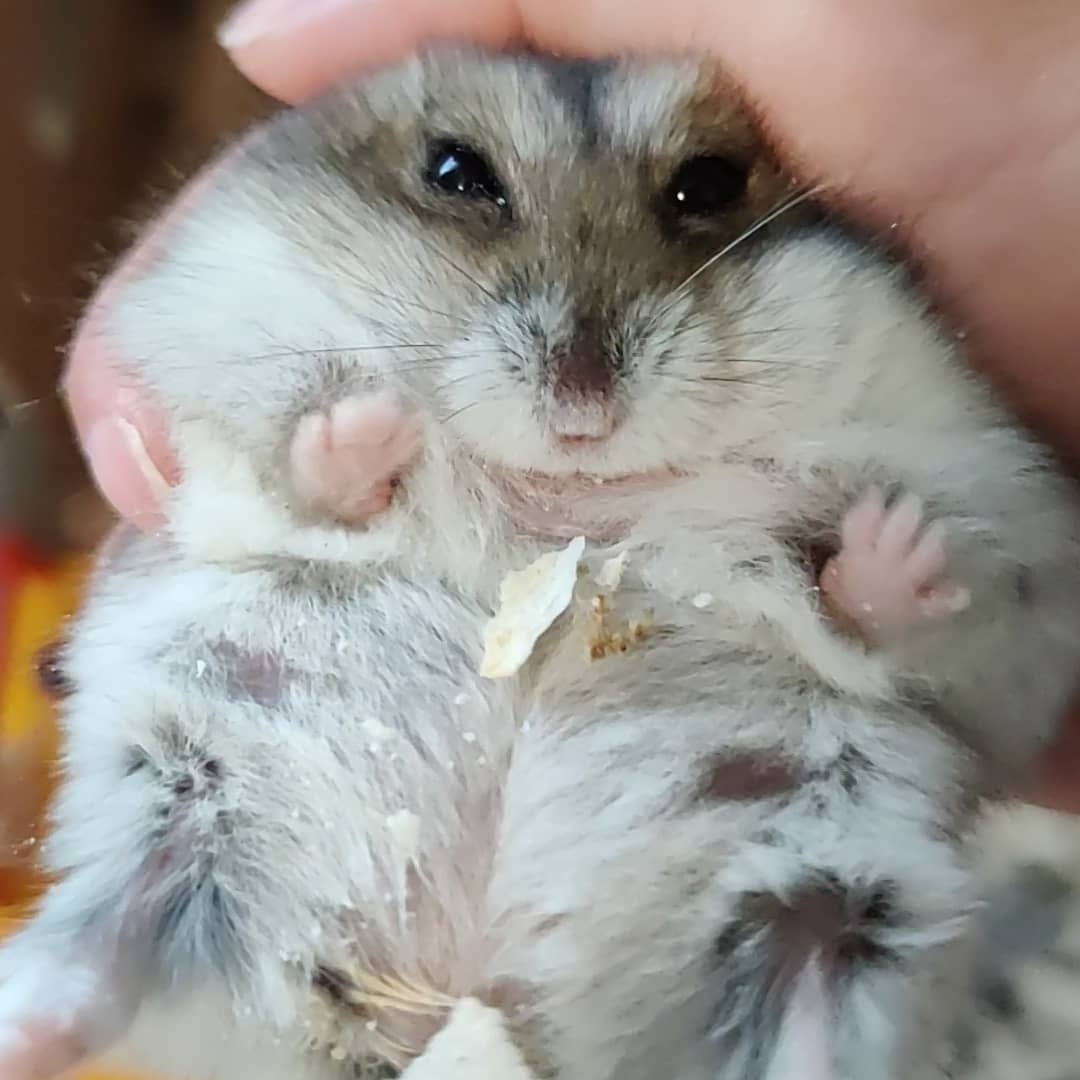 Big grabby | Scrolller