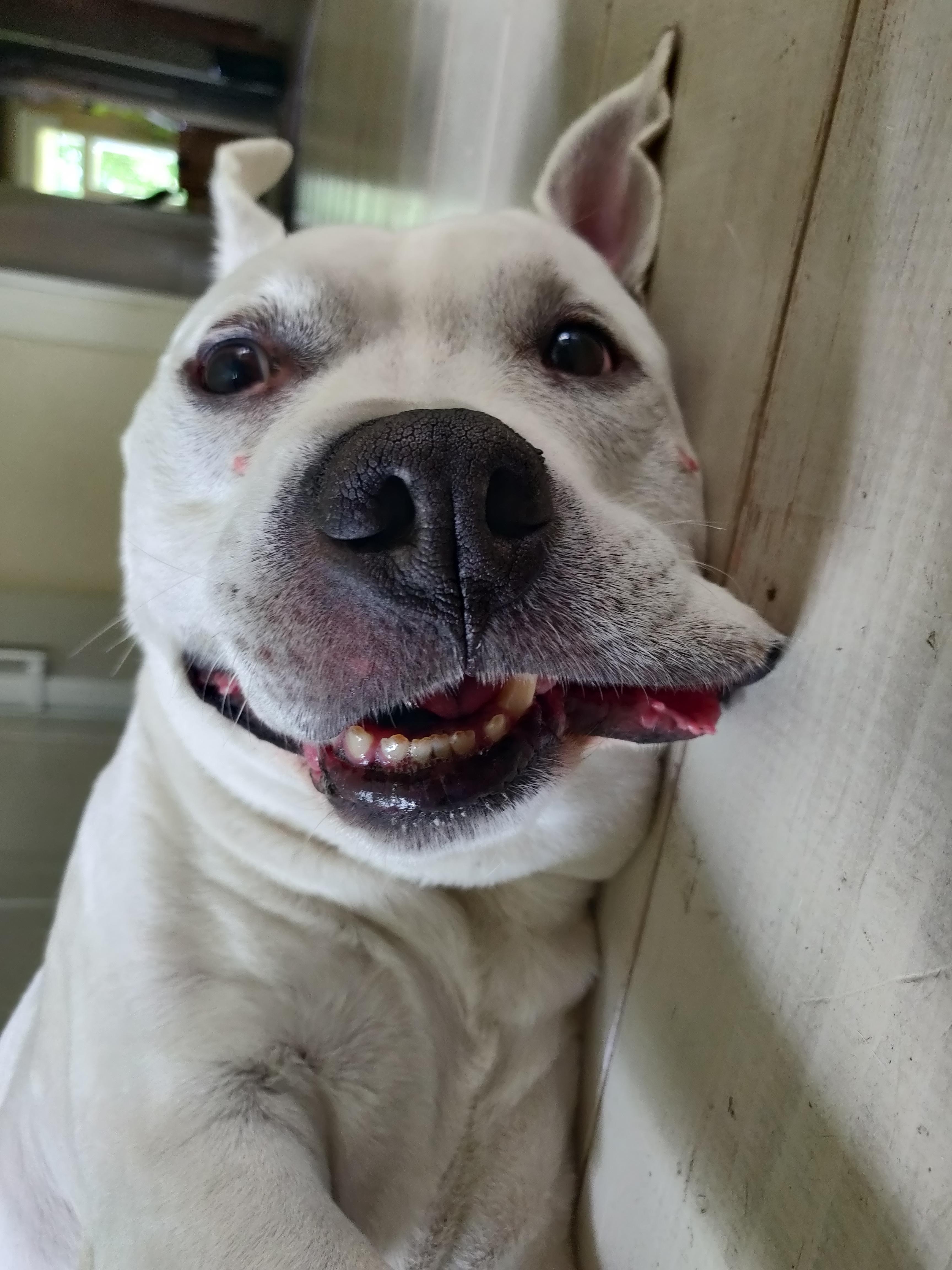 Big ol' toofers | Scrolller