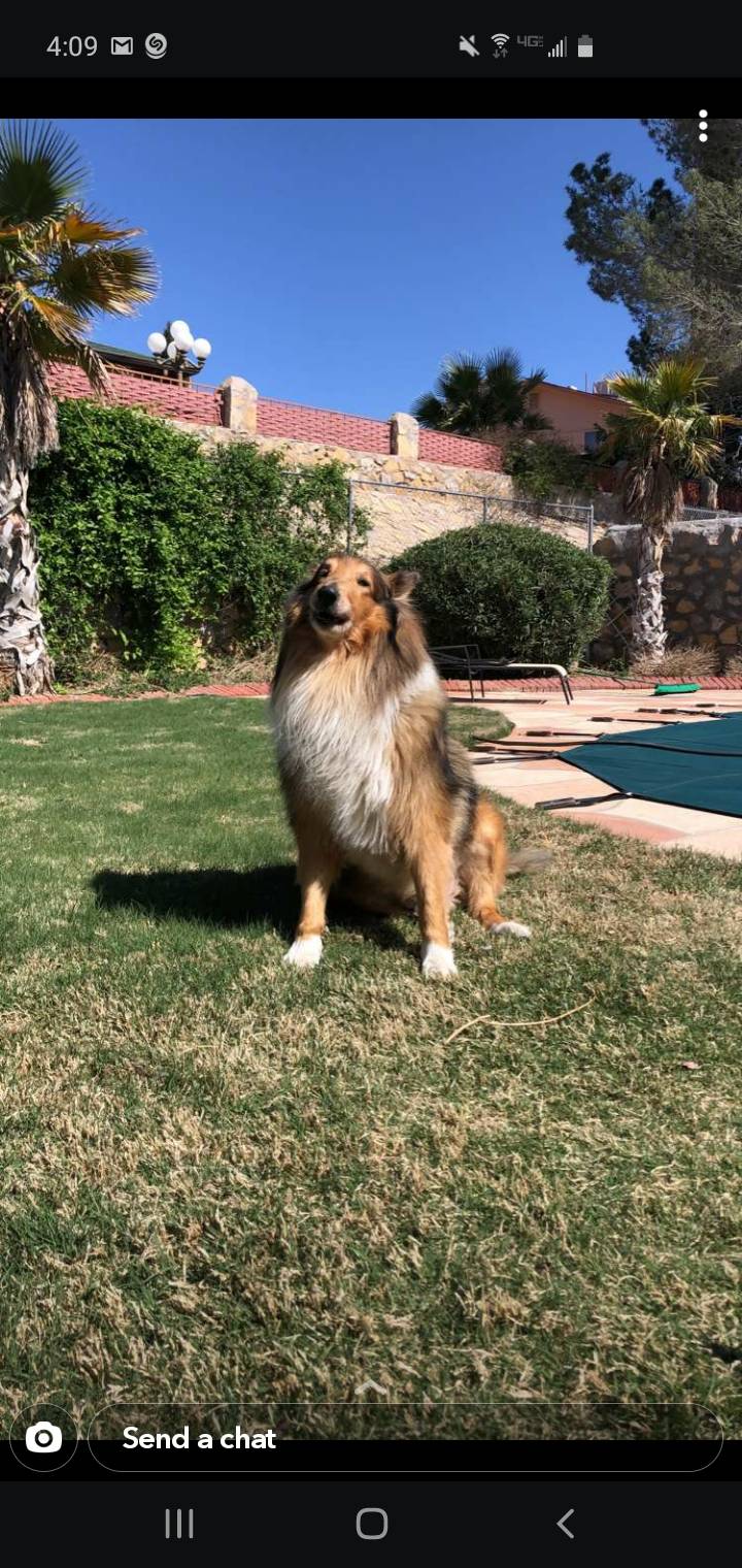 Big squishy Leo | Scrolller