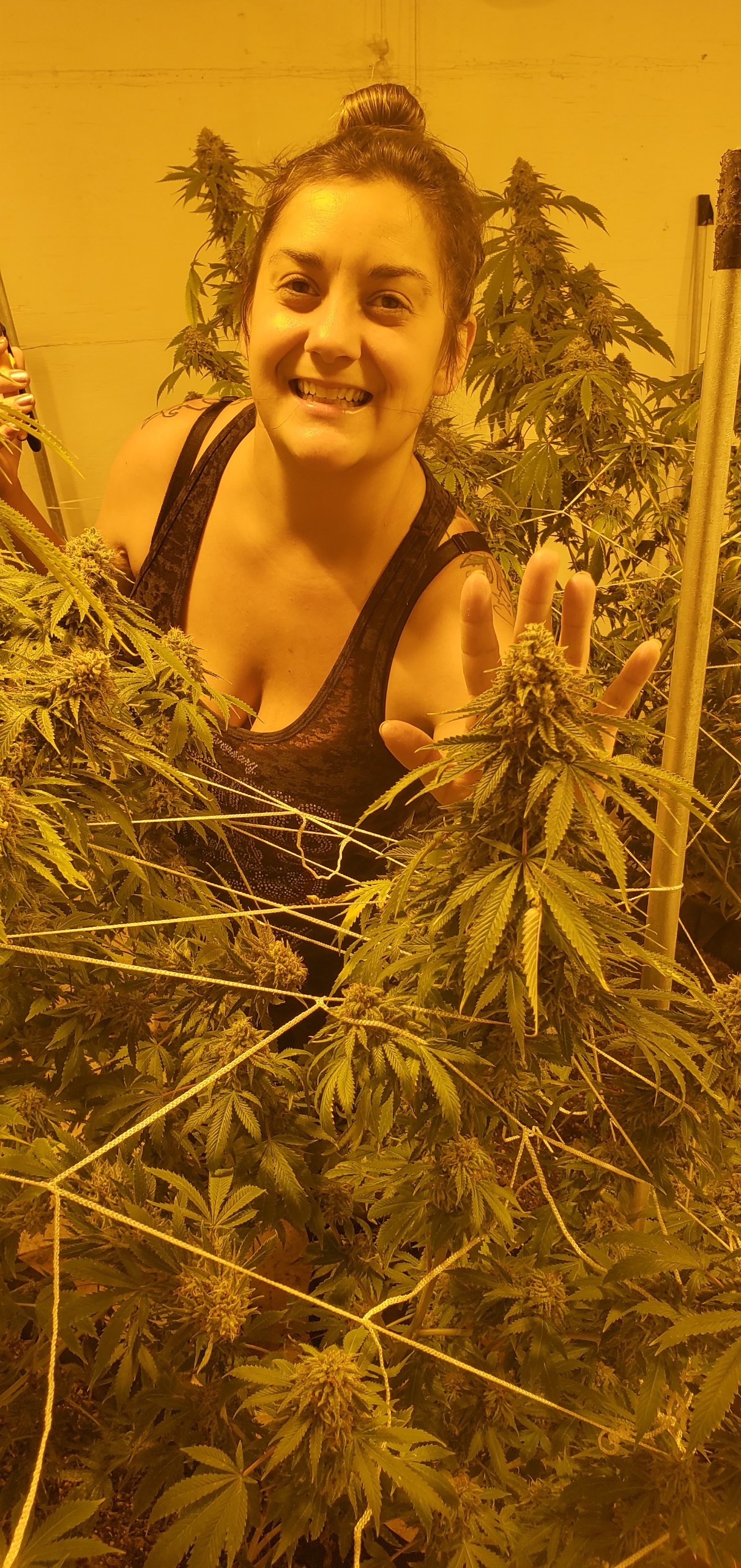 Big titties and big nuts, doesn't get much better then that! | Scrolller