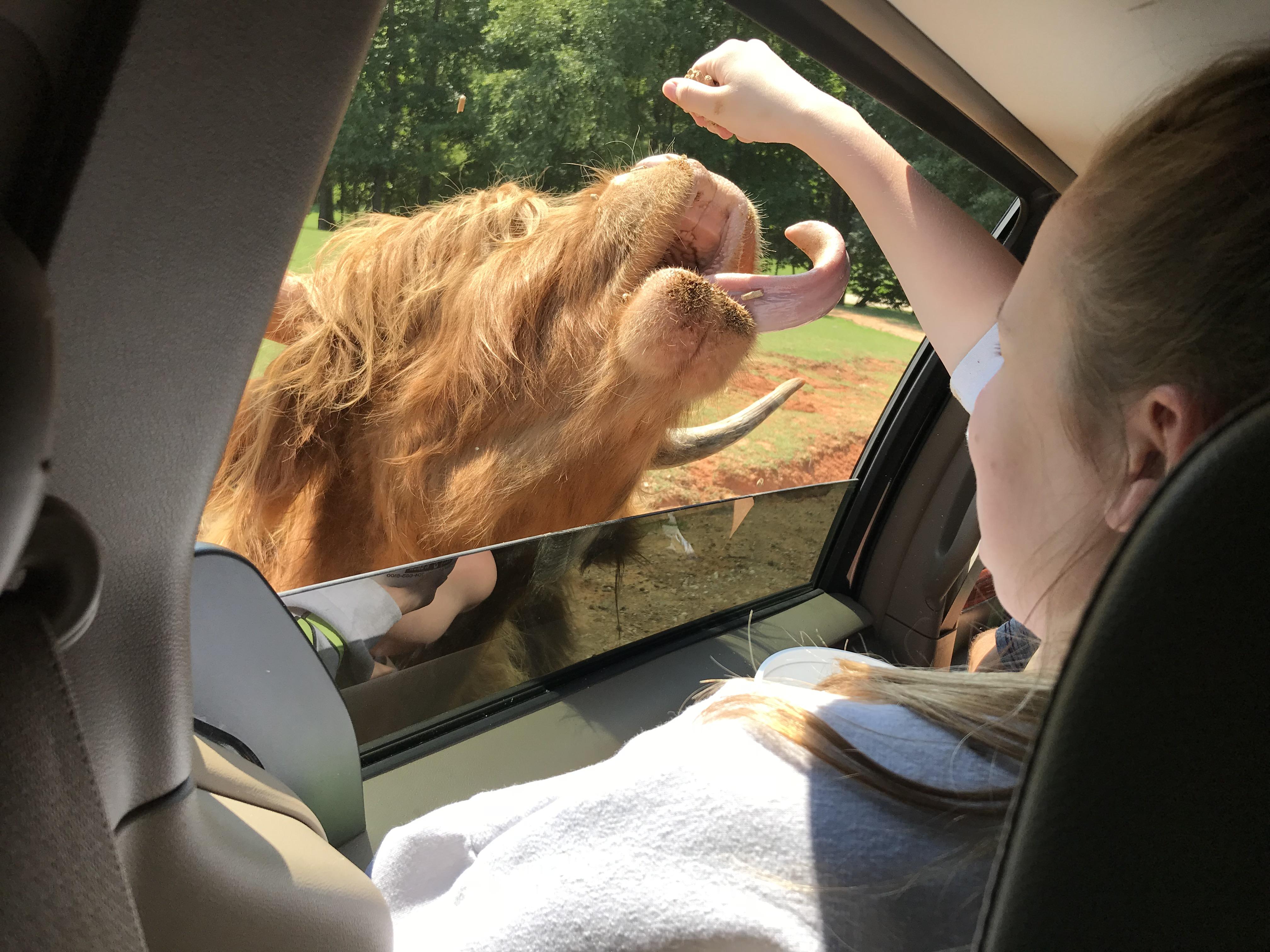 Biggest blup | Scrolller