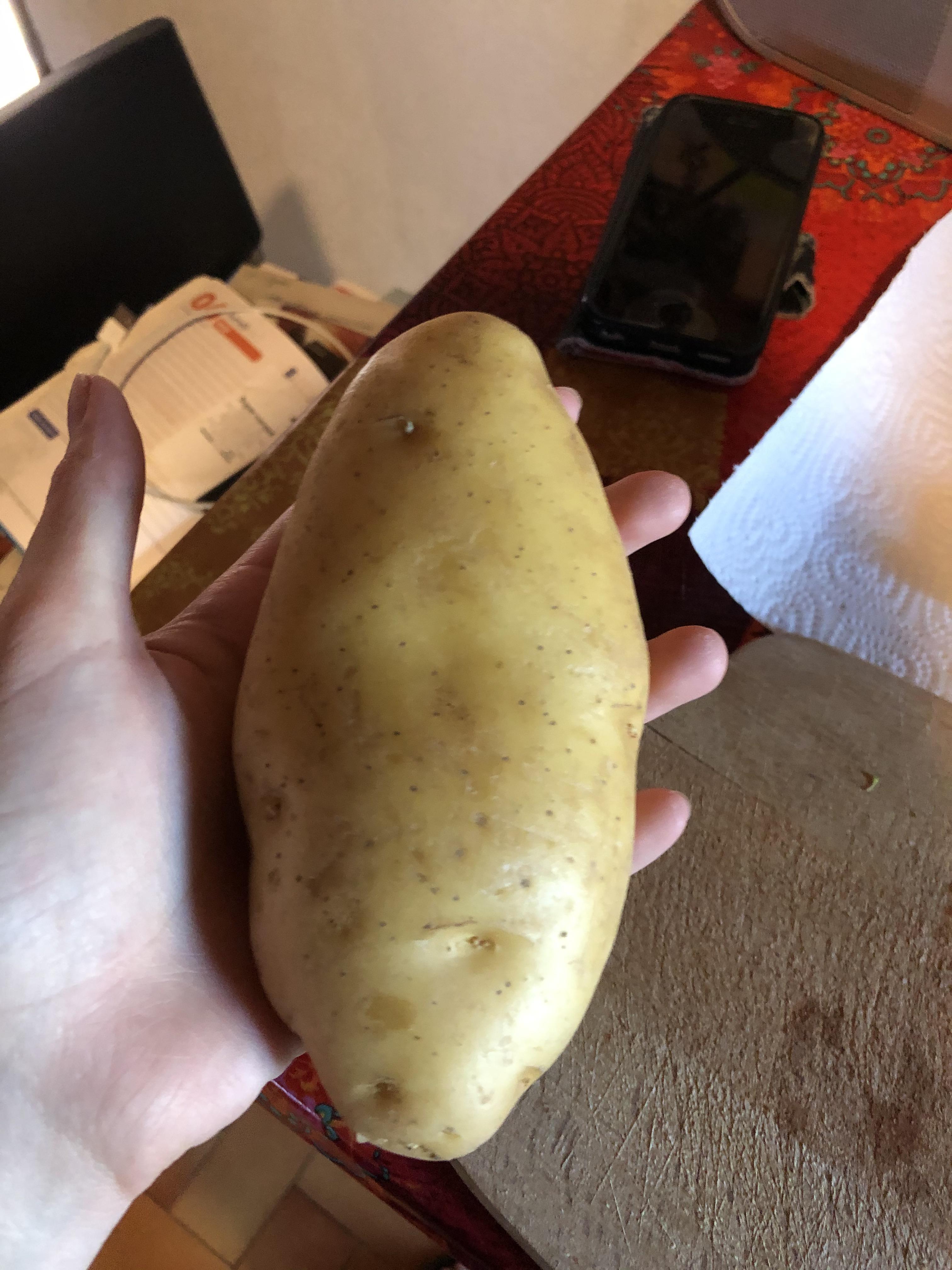 Biggest potato i ever seen | Scrolller