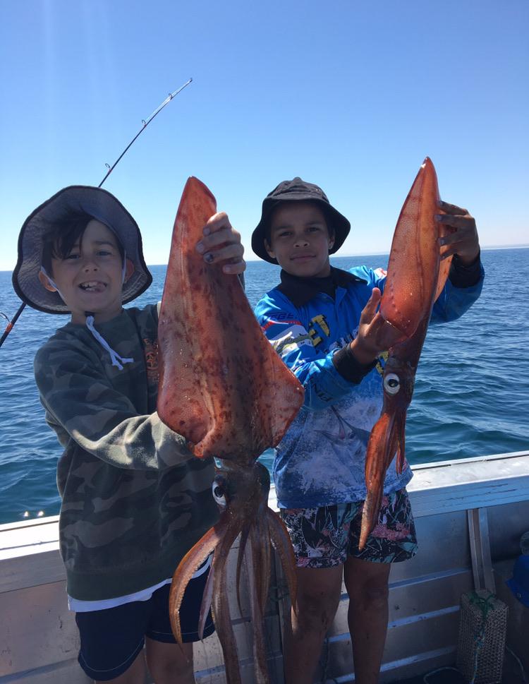 Biggest squid | Scrolller