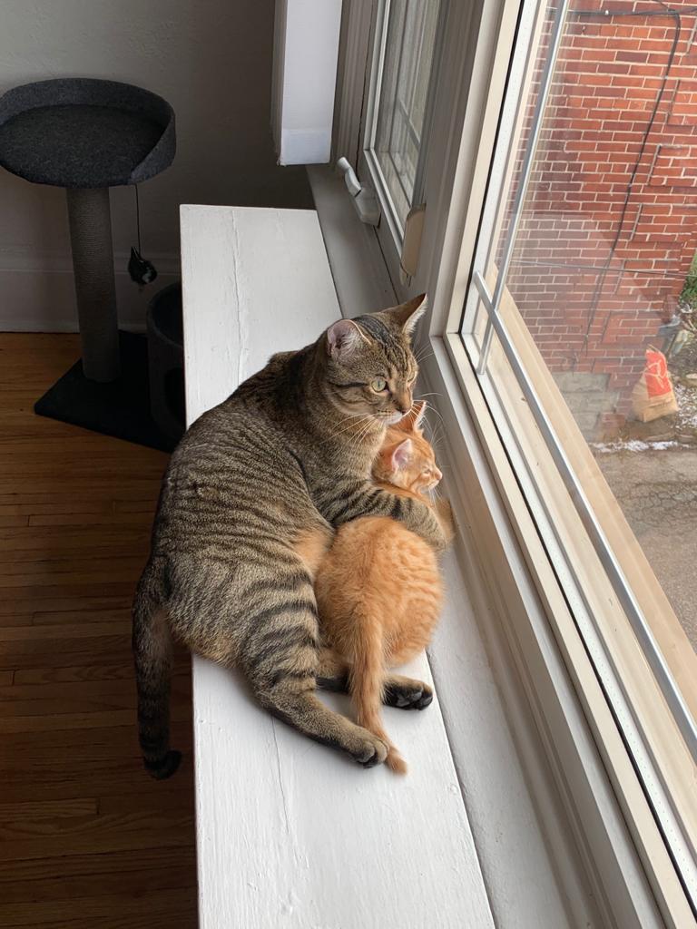 Bird watching | Scrolller