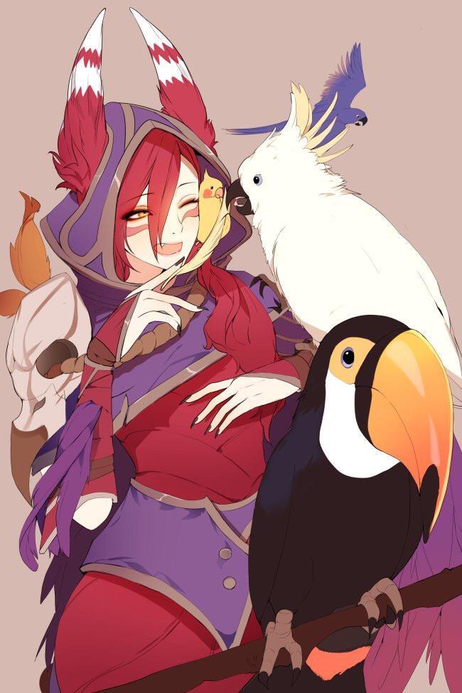 Birds are cute | Scrolller