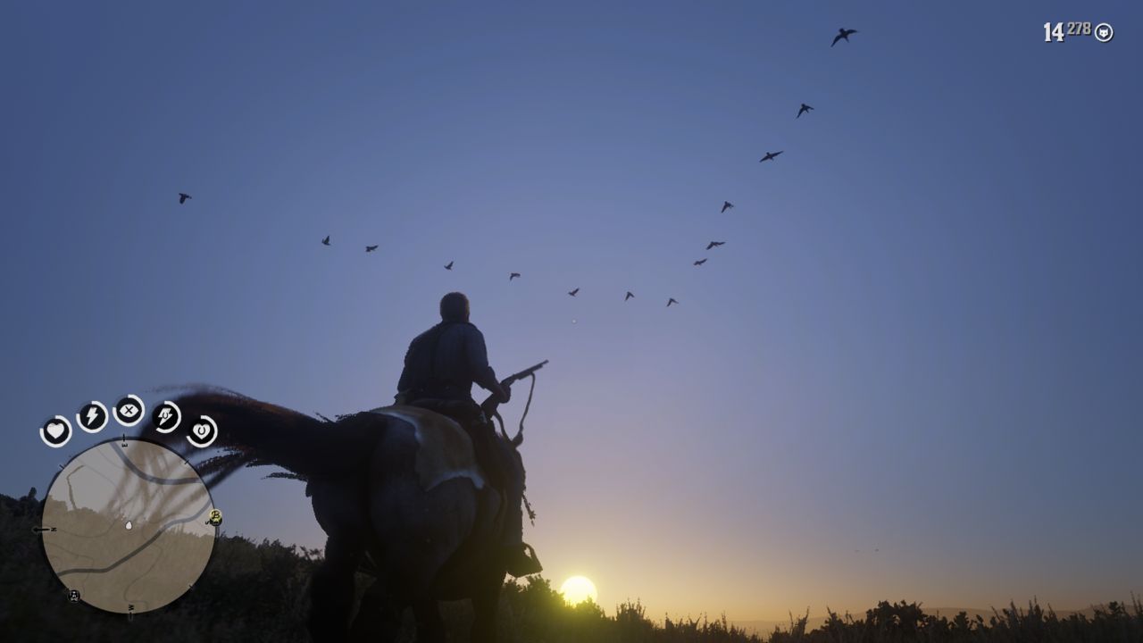 Birds sometimes fly in a V formation | Scrolller