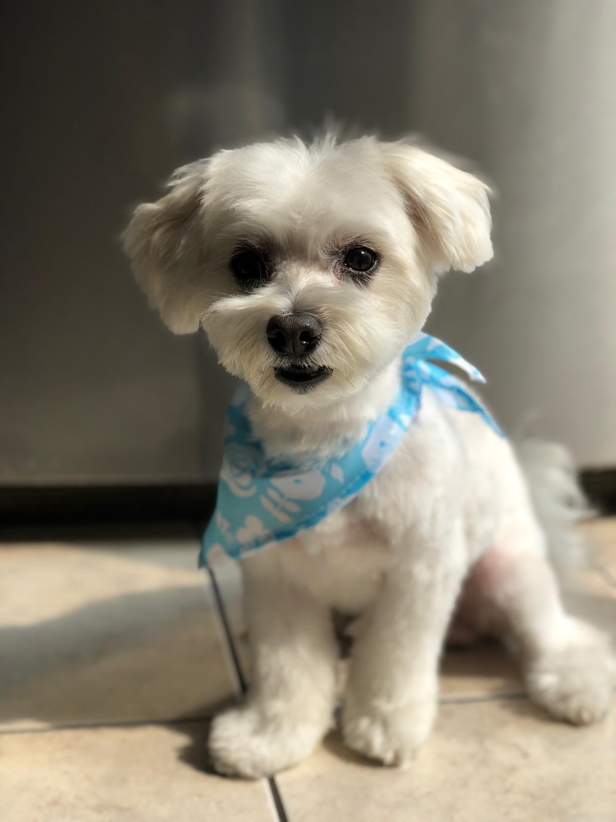 Birthday boy Toby | Scrolller