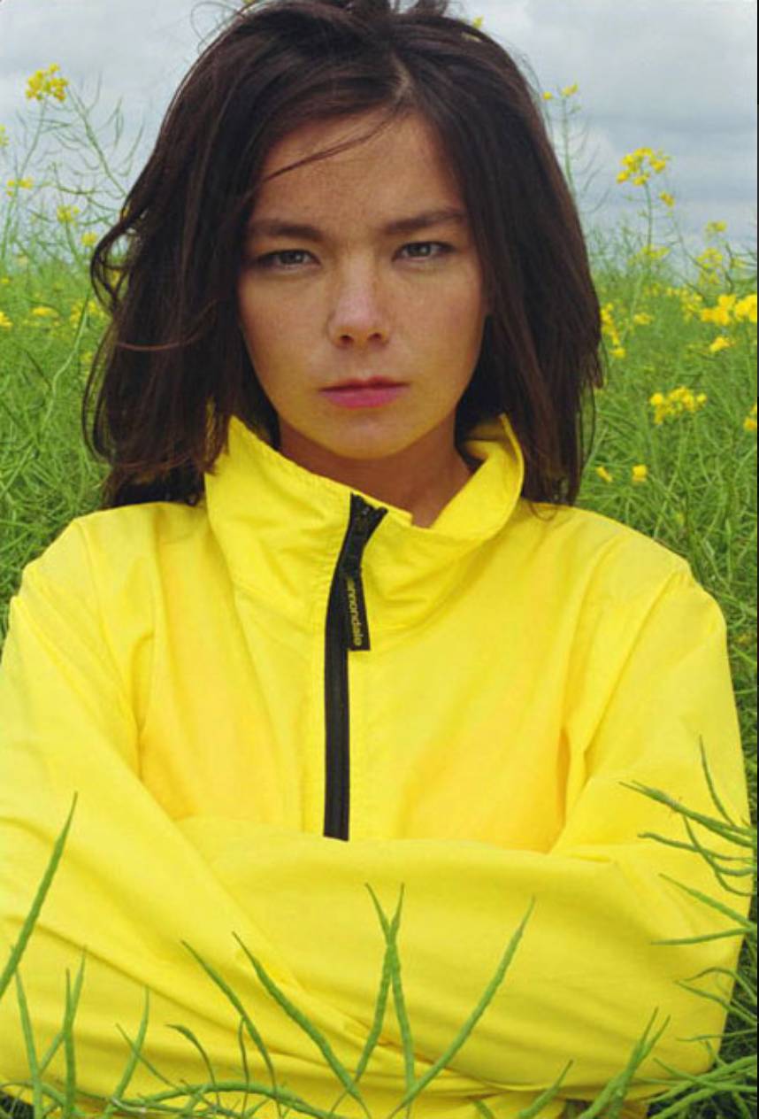 Björk photographed for Dazed & Confused magazine in 1994 | Scrolller