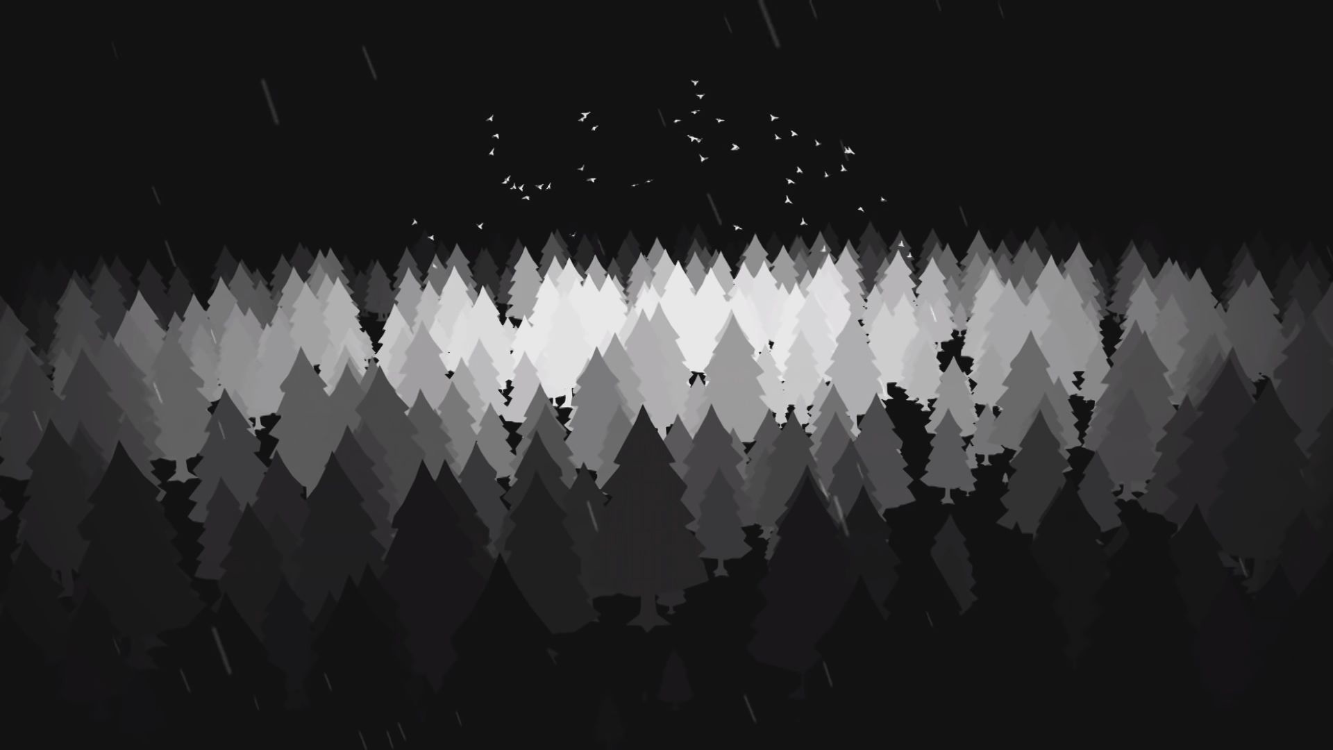 Black and white forest [1920x1080] | Scrolller