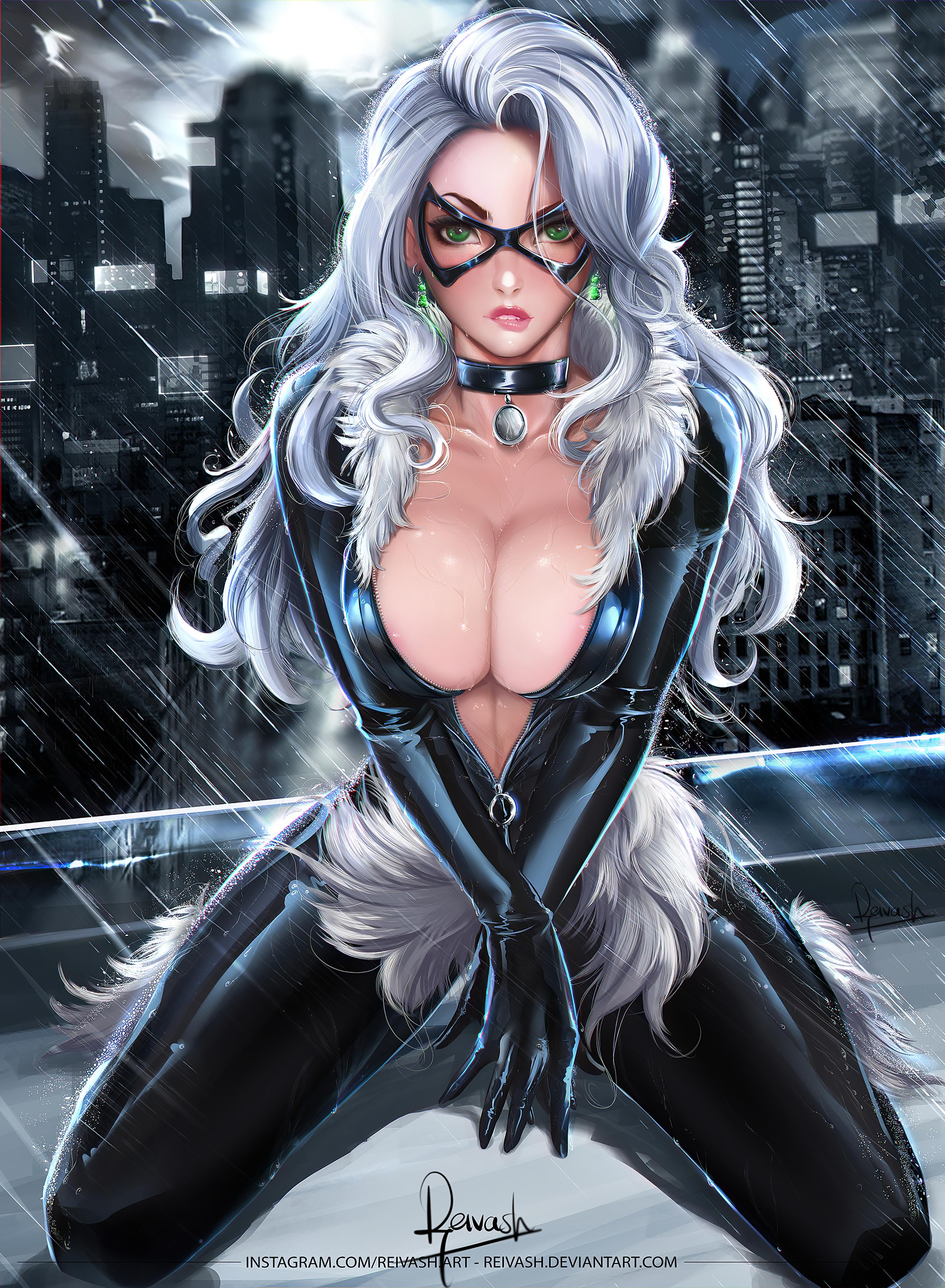 Black Cat | Scrolller