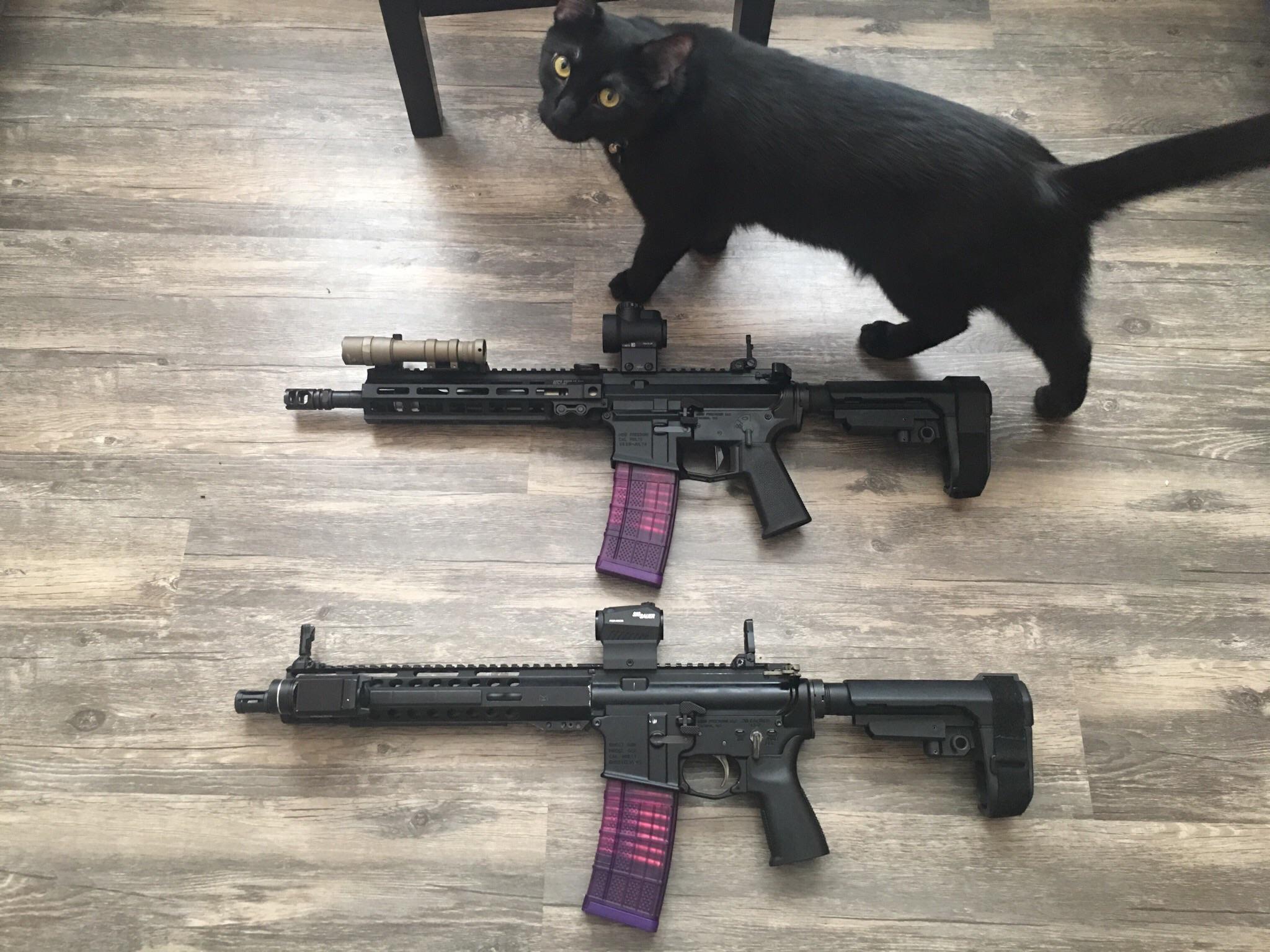 Black gat black cat | Scrolller
