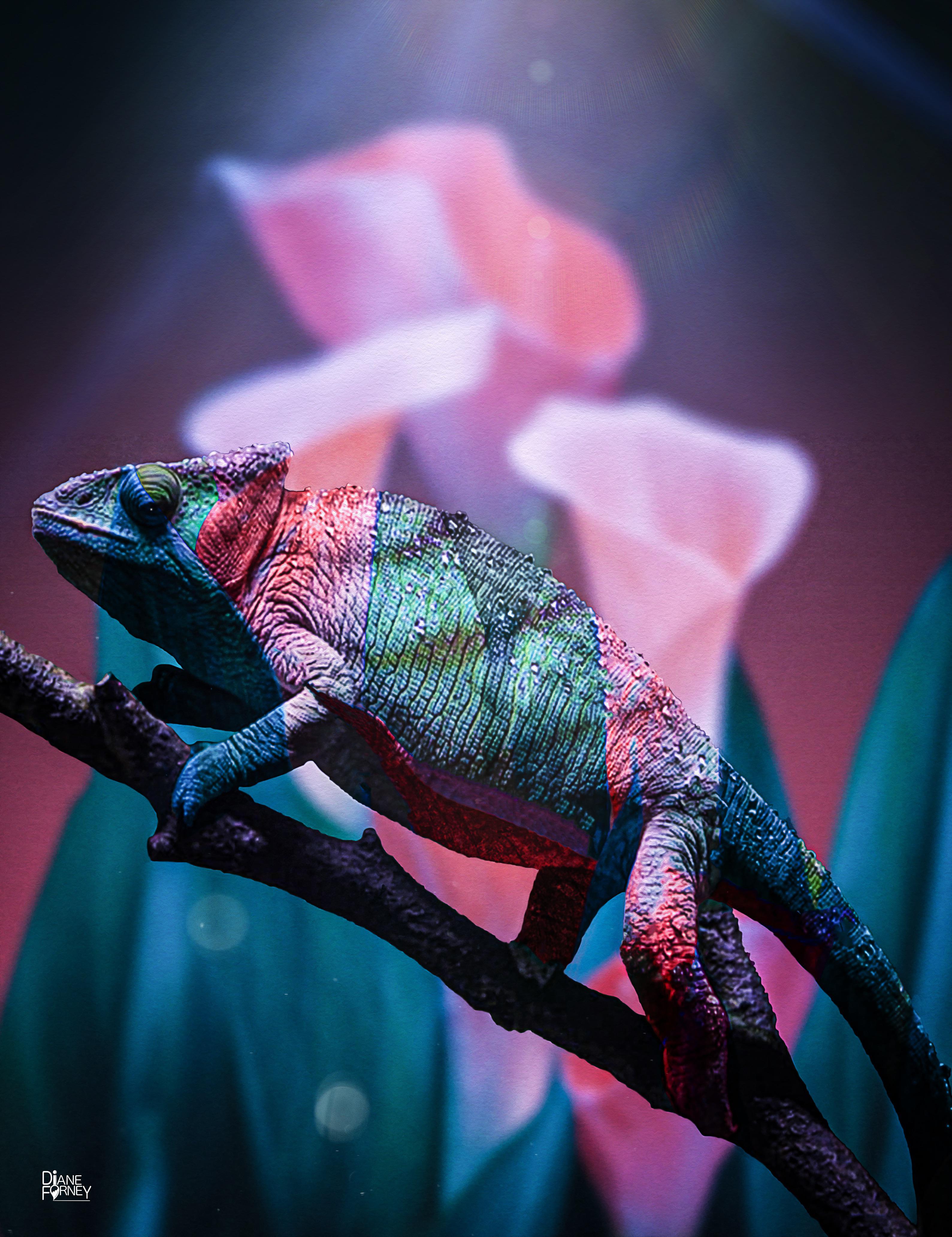 Blend In Digital Me 2021 Scrolller