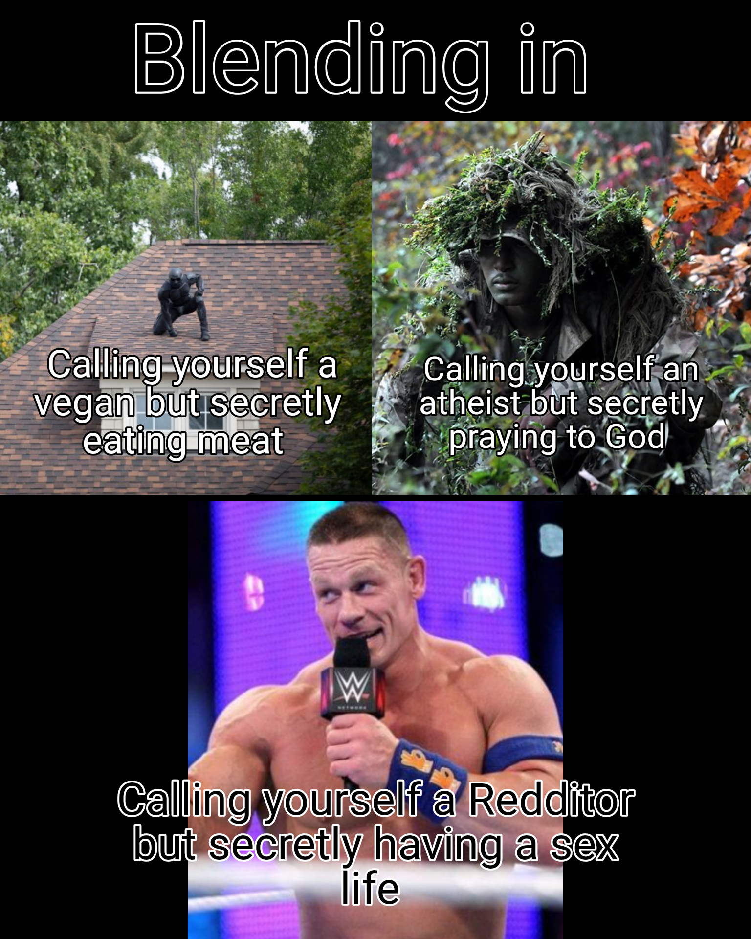 Blending in | Scrolller