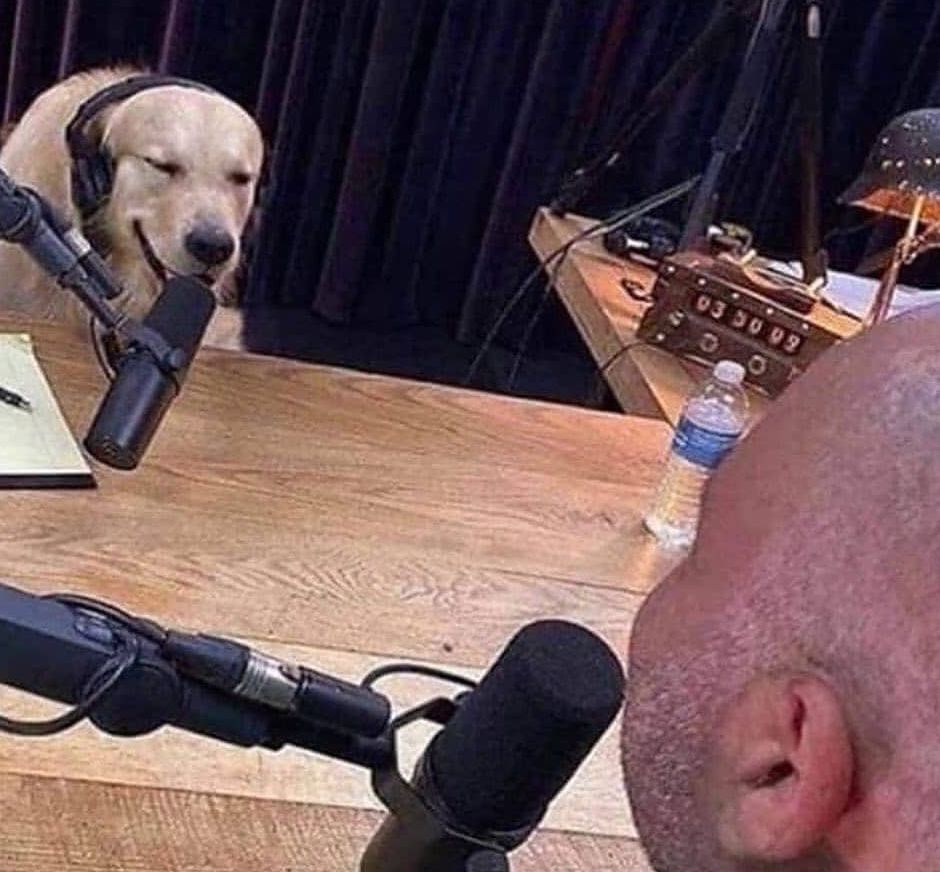 Blessed_interview | Scrolller