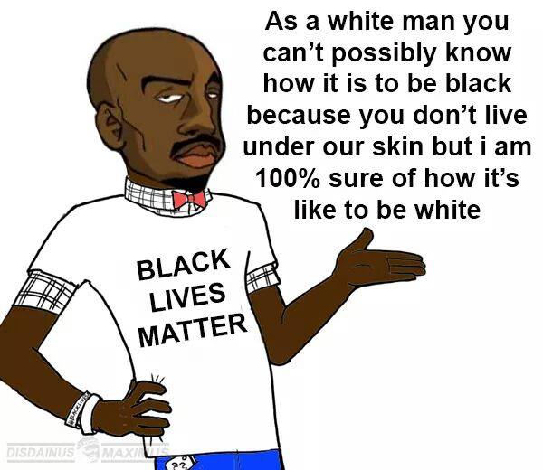 BLM in a nutshell | Scrolller