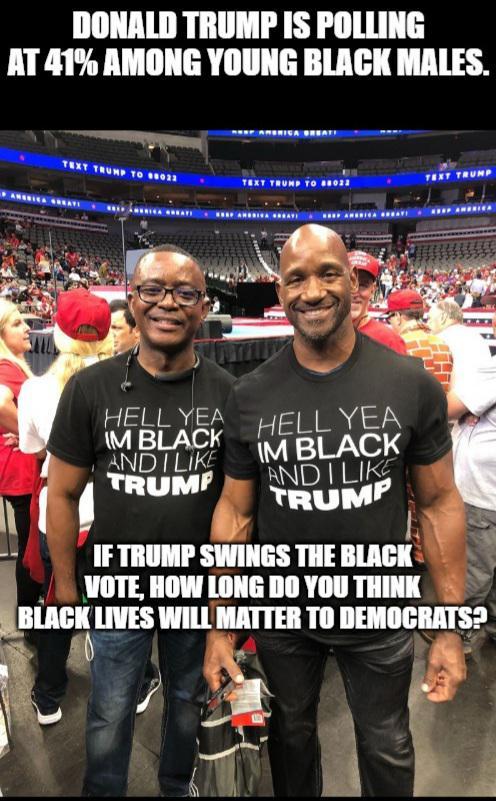 BLM is on life support | Scrolller