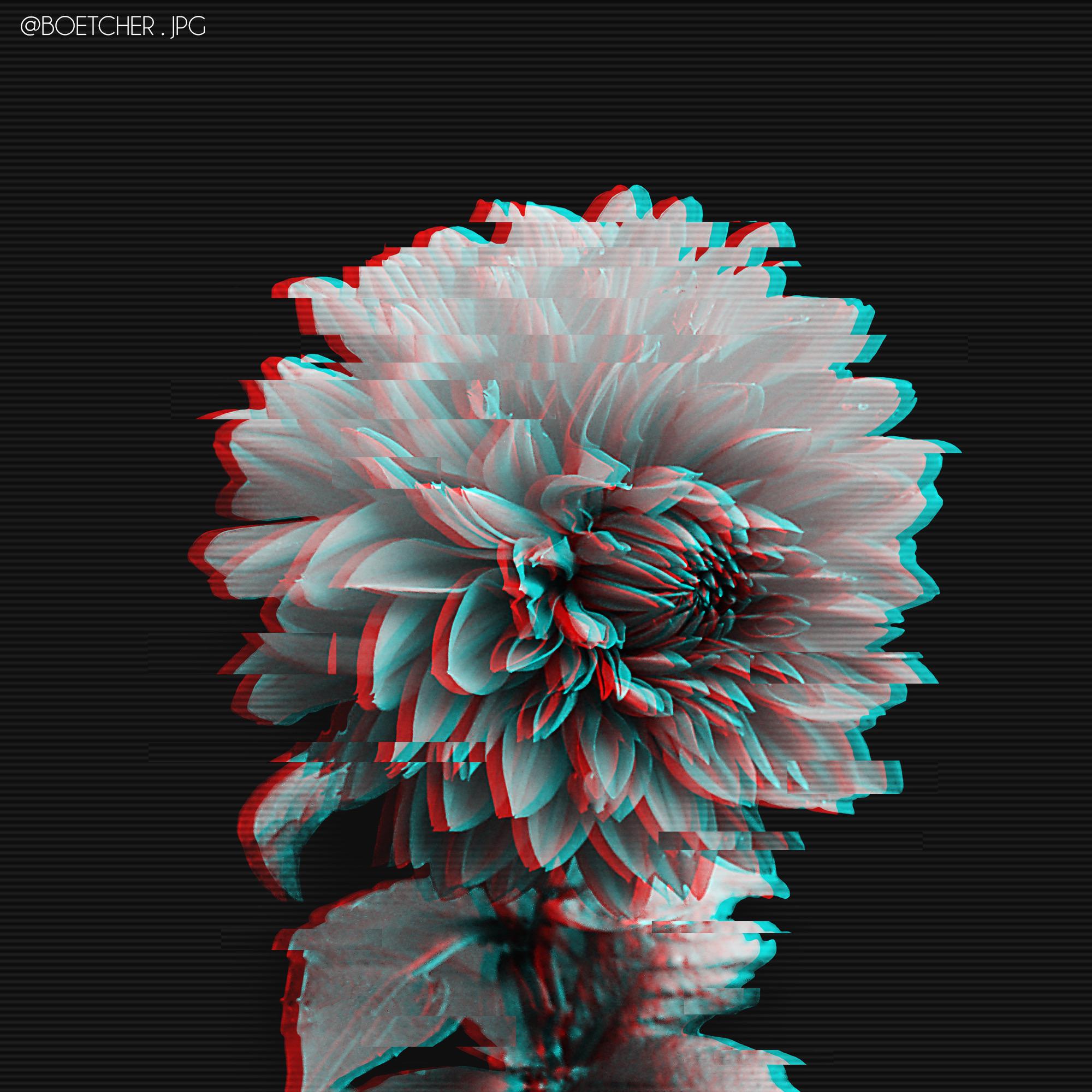 Bloom (oc) | Scrolller