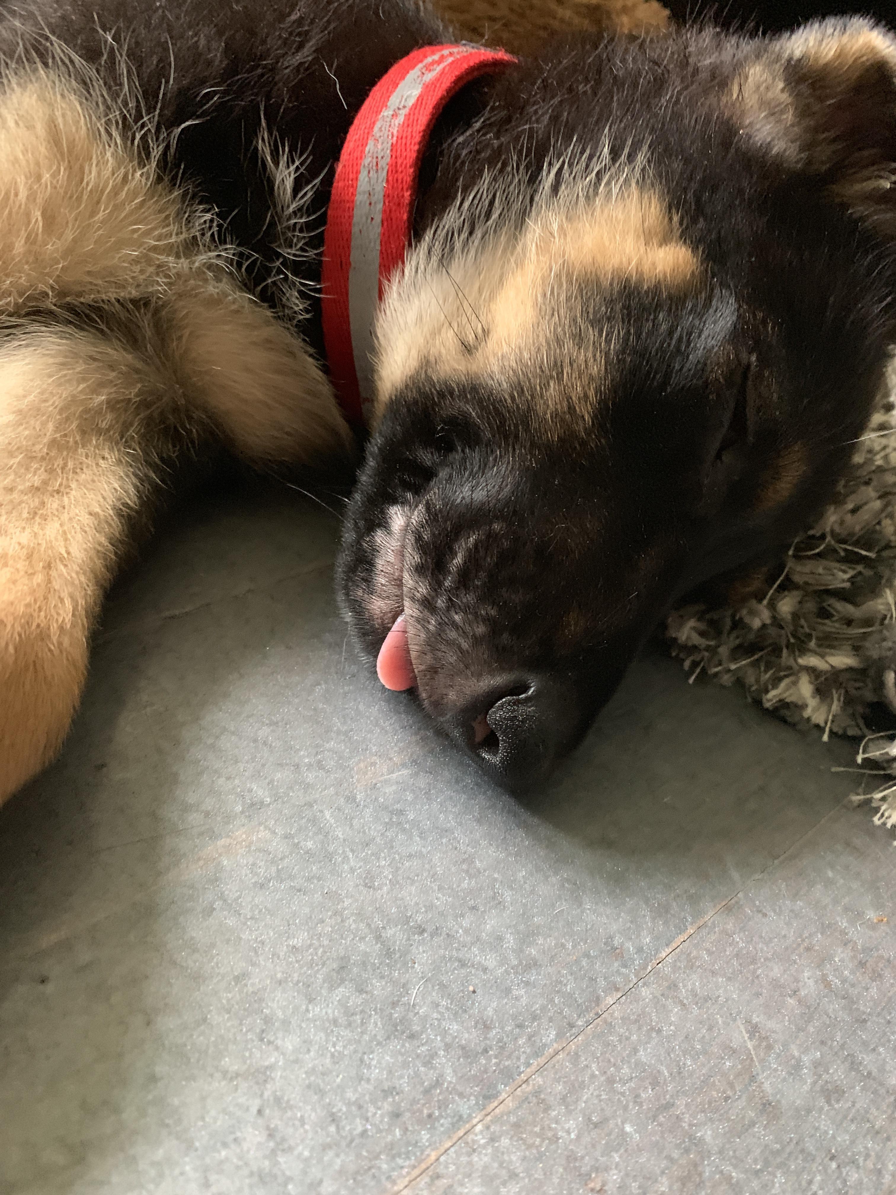 Blop | Scrolller