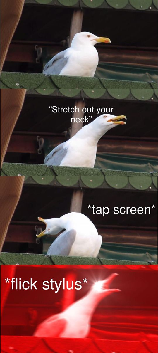 Blue birds | Scrolller