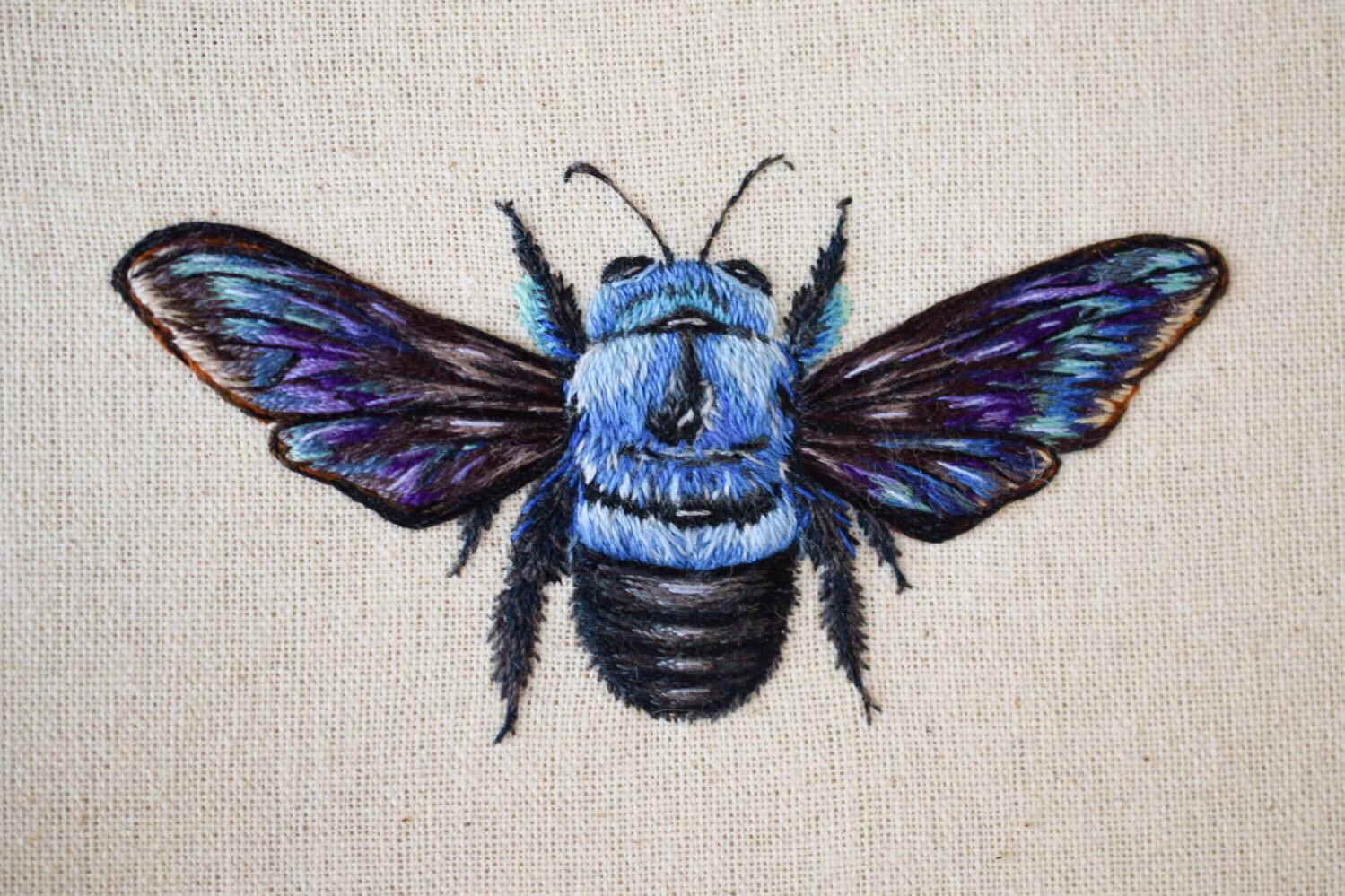 Blue Carpenter Bee. | Scrolller