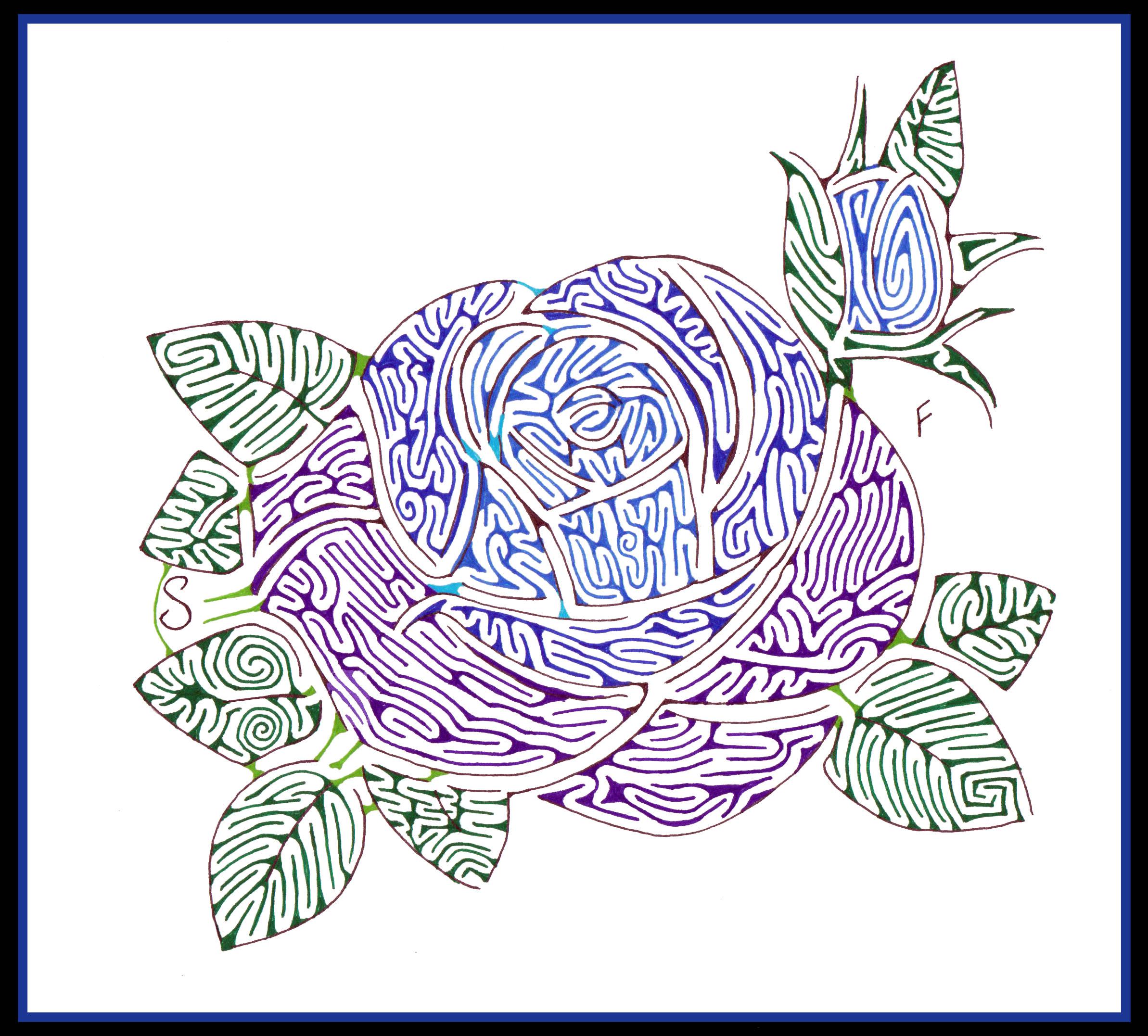 Blue Rose | Scrolller