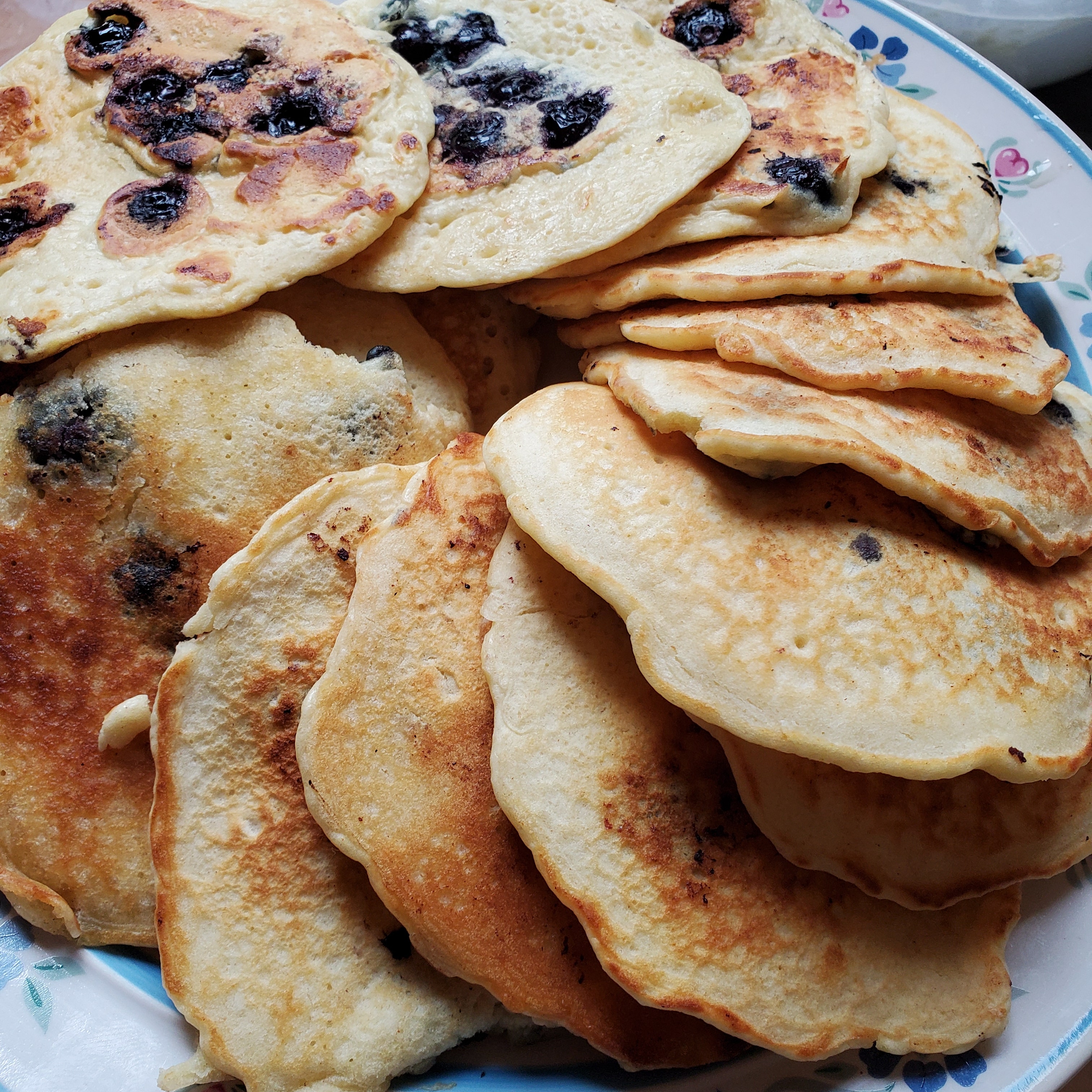 Blueberry | Scrolller