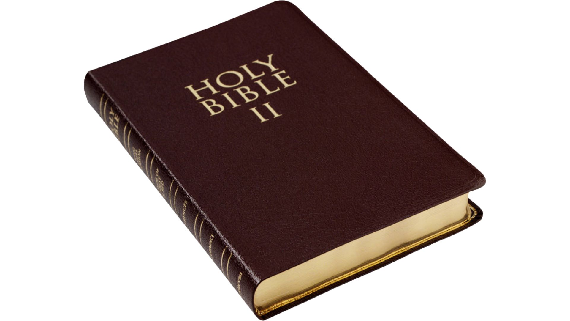 Blursed_bible | Scrolller